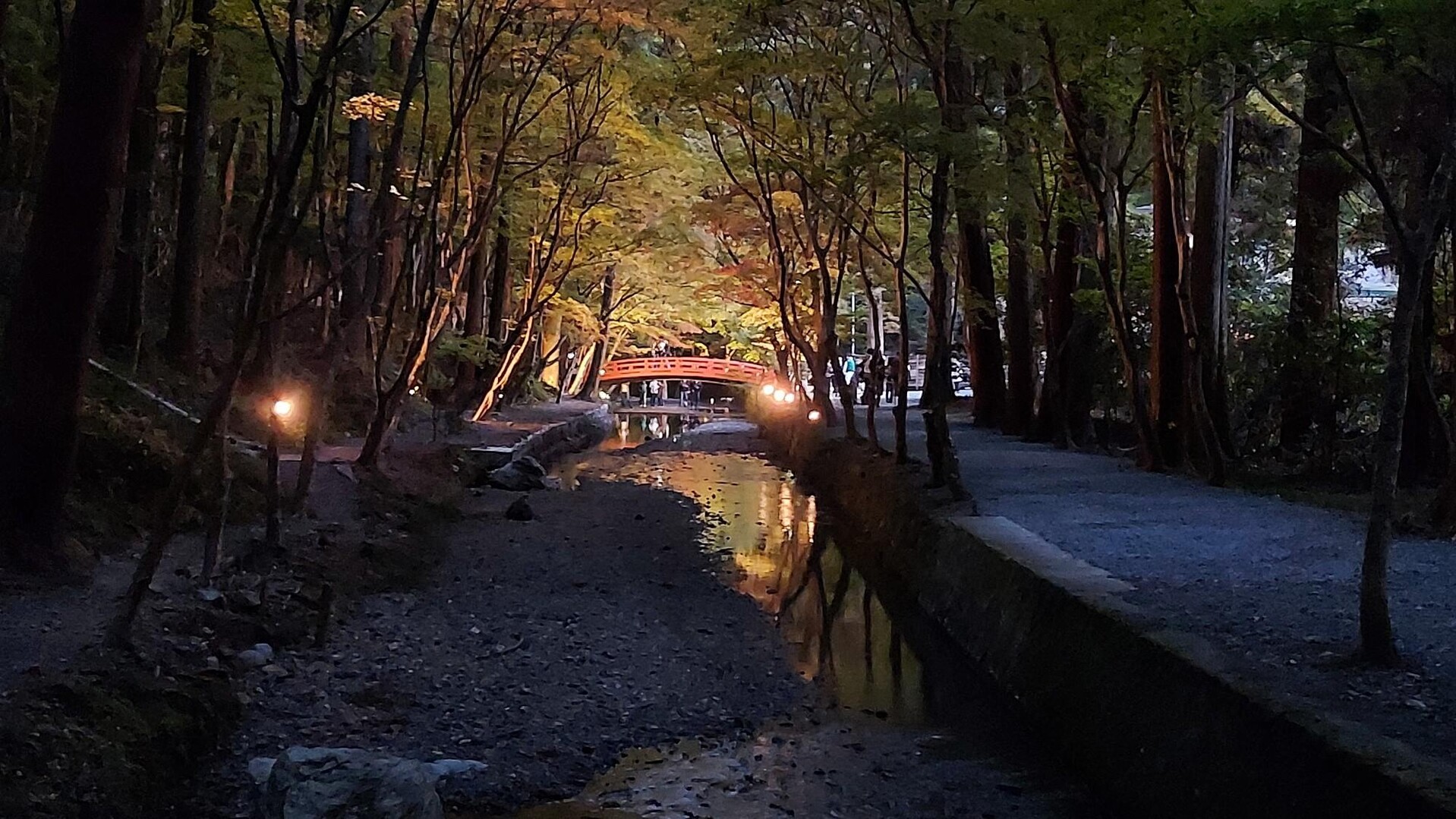 小国神社 宮川のライトアップ。今年も見れ... / piropiroさんのモーメント | YAMAP / ヤマップ