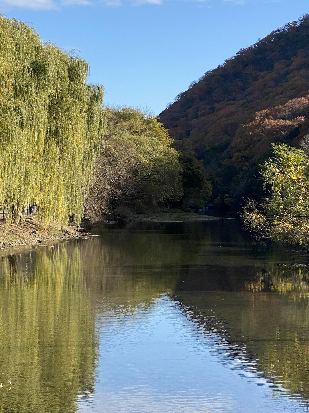 龍ノ口山-2024-12-09 / YHやっさんさんの岡山市（中区）の活動日記 | YAMAP / ヤマップ