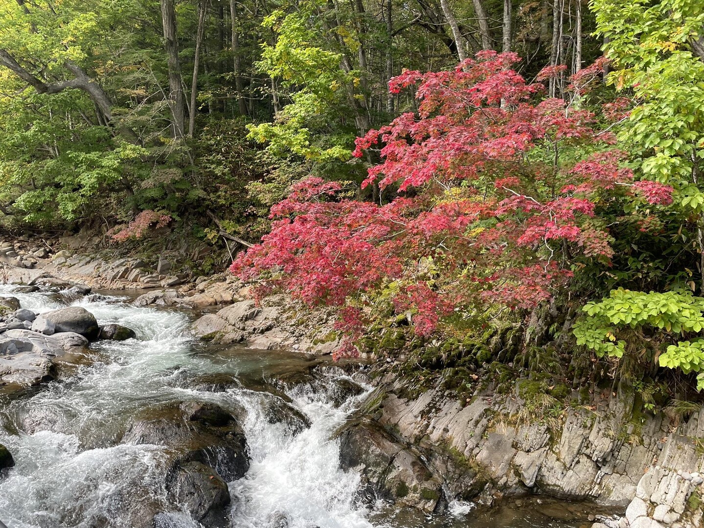 トムラウシ山 / ビリーザキッドさんのGT3 2の活動データ | YAMAP / ヤマップ