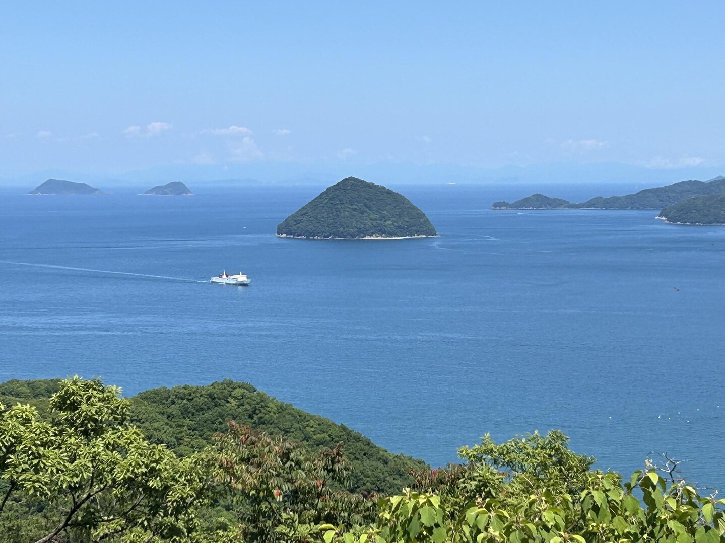 カキランを見たくて((´∀`*)) 三角台・龍王山 / datinさんの鎮南山の活動データ | YAMAP / ヤマップ