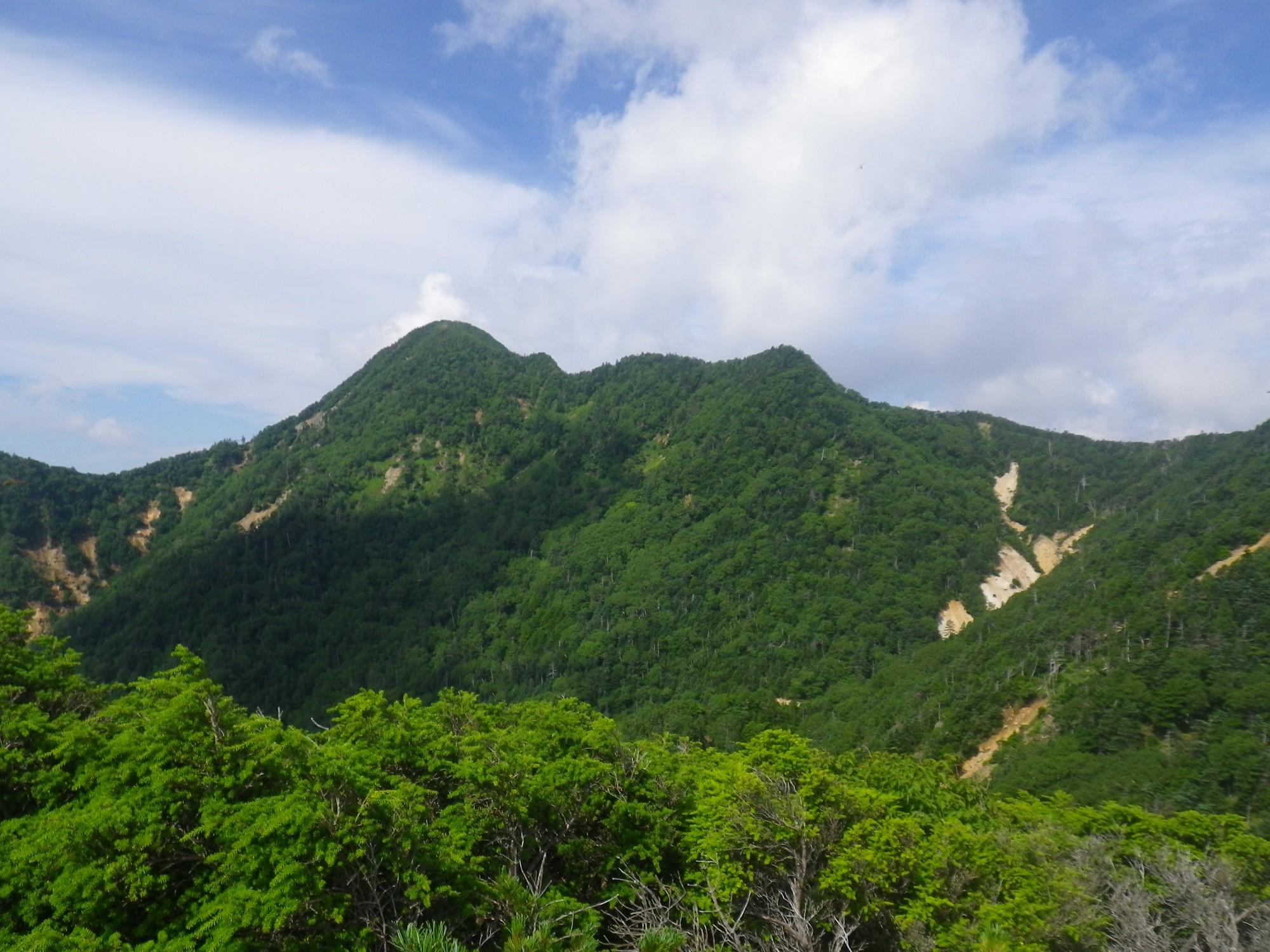 小丸山・赤薙山・一里ヶ曽根独標・女峰山 / tom-maniさんの女峰山・赤薙山・大真名子山の活動データ | YAMAP / ヤマップ