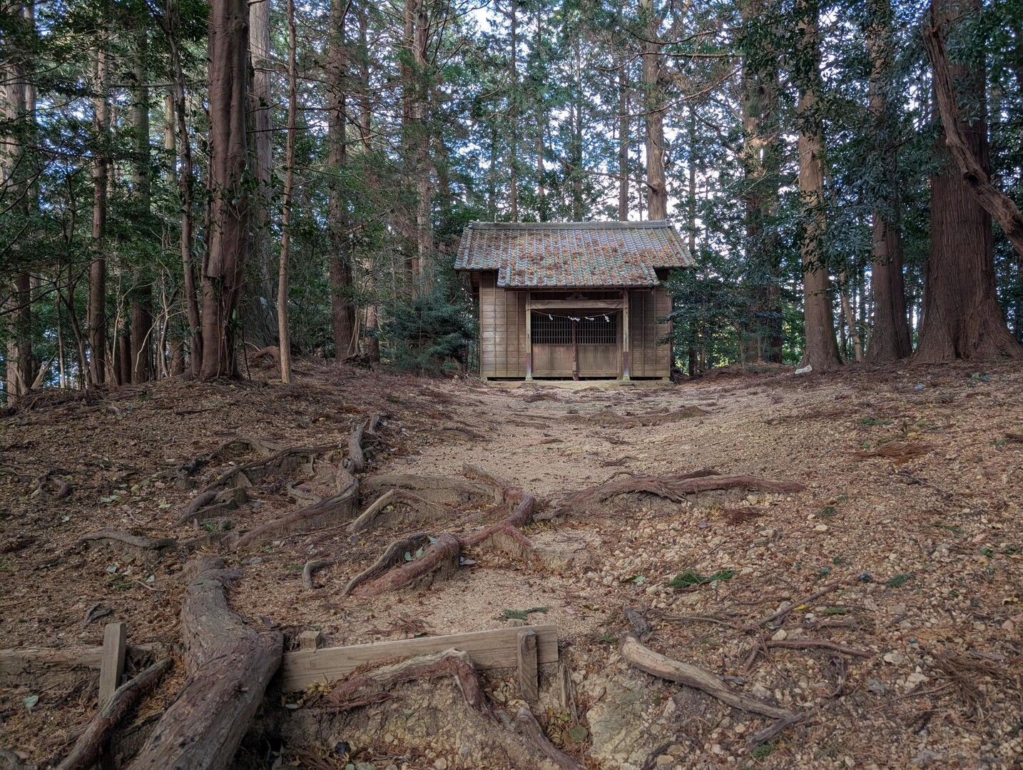登り納めの本宮山 / Te ruさんのウォーキングの活動データ | YAMAP / ヤマップ