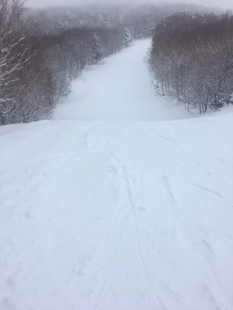 Shiga Kogen / Richさんの岩菅山・寺小屋峰の活動データ | YAMAP / ヤマップ