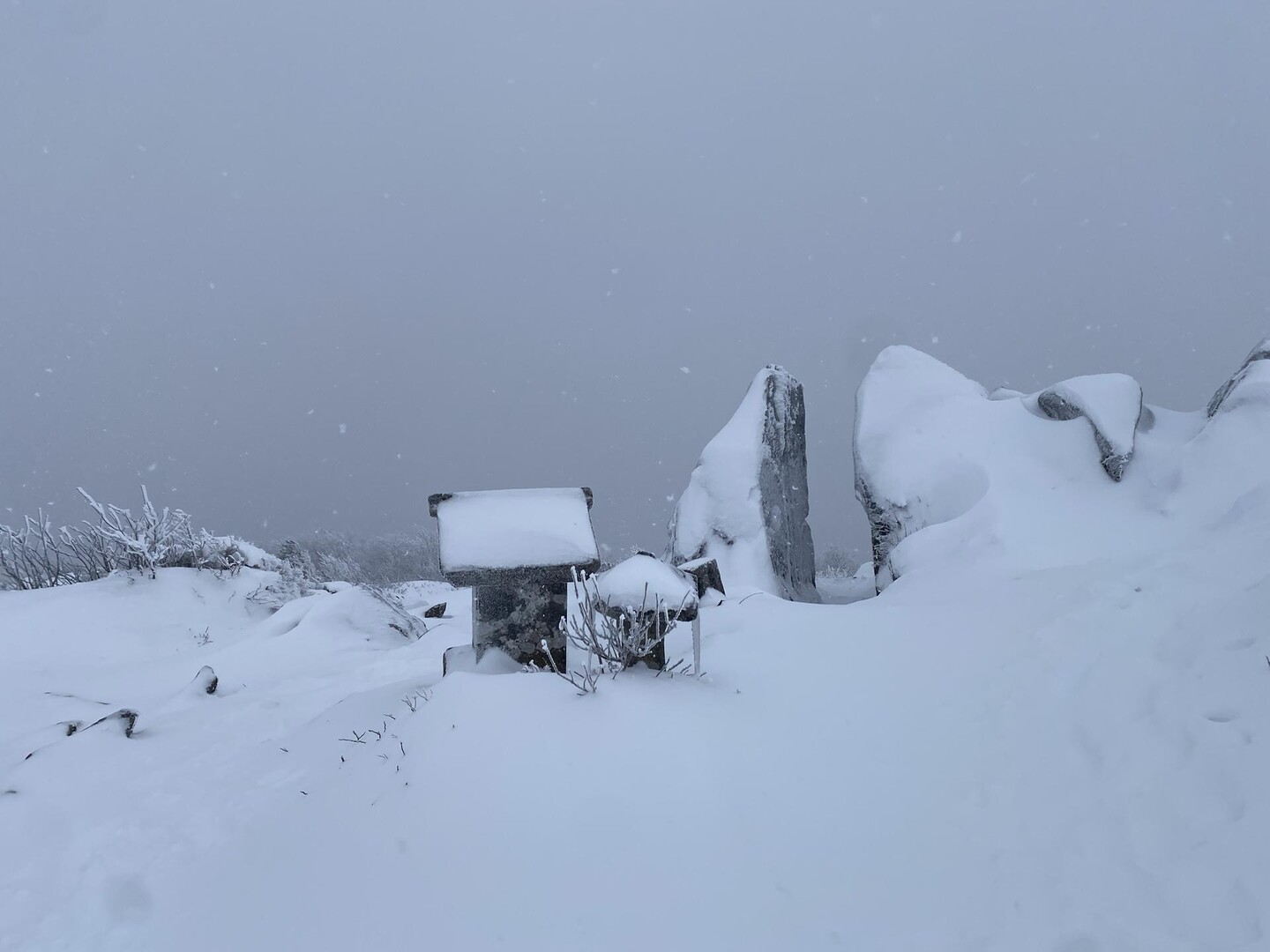 姫神山(R6,27回目) / TMZさんの姫神山の活動データ | YAMAP / ヤマップ