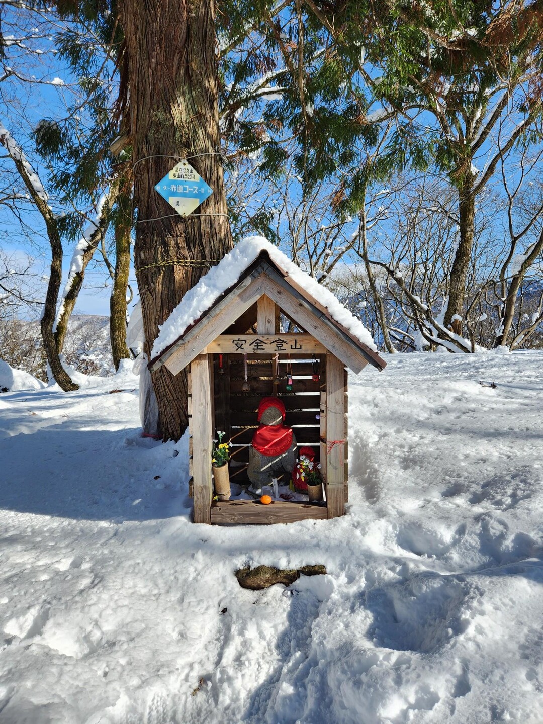 ☀️に誘われて、三ノ峠山へ‼️ / kokoさんの鋸山・三ノ峠山・八方台の活動データ | YAMAP / ヤマップ