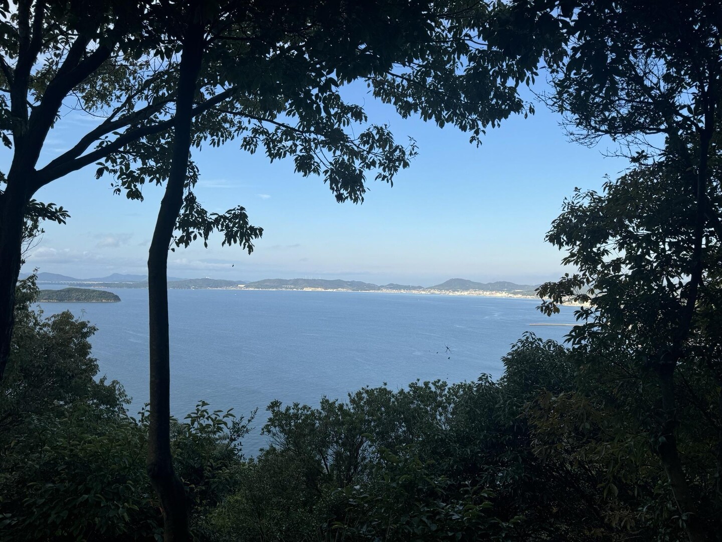 新割山（王子が岳） / KINGさんの王子が岳・神登山・臥竜山の活動データ | YAMAP / ヤマップ