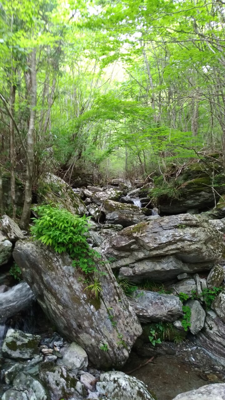 稲叢山 往復コースの地図・登山ルート・登山口情報 | YAMAP / ヤマップ