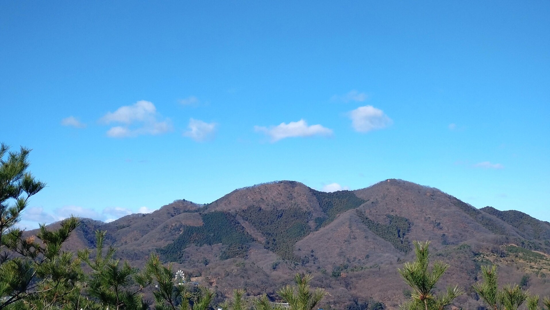 登り初〜一色山・観音山・雷電山・ガッチン山 / barrrさんの鳴神山・吾妻山の活動データ | YAMAP / ヤマップ