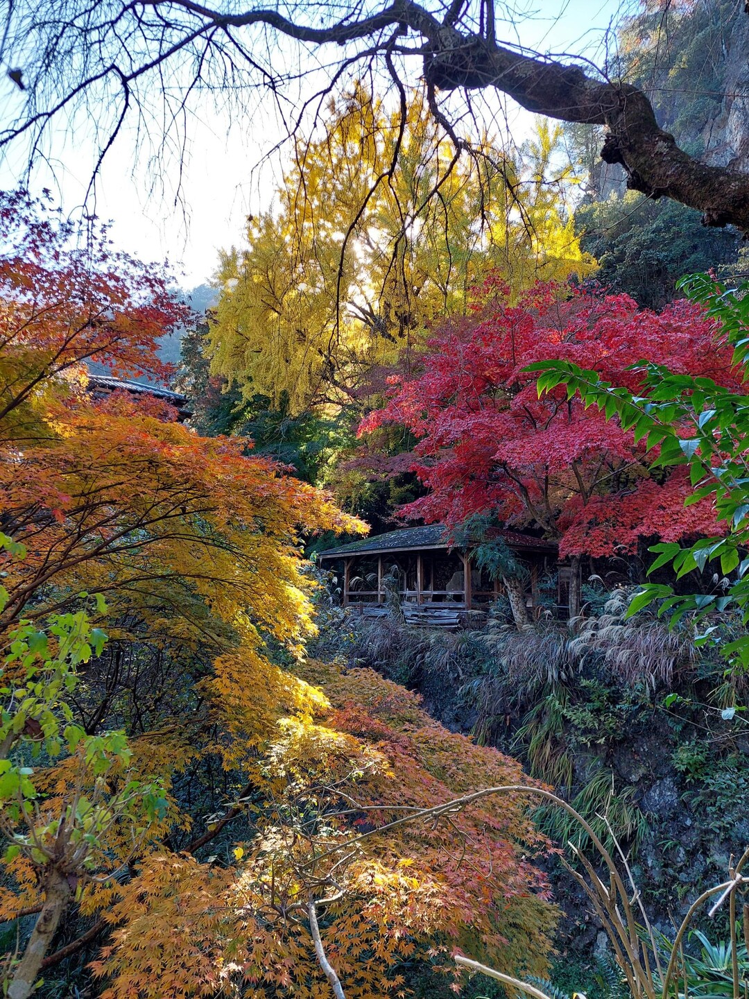 大岩山・行道山・後行道山 / @suzuさんの両崖山・仙人ヶ岳・石尊山の活動データ | YAMAP / ヤマップ