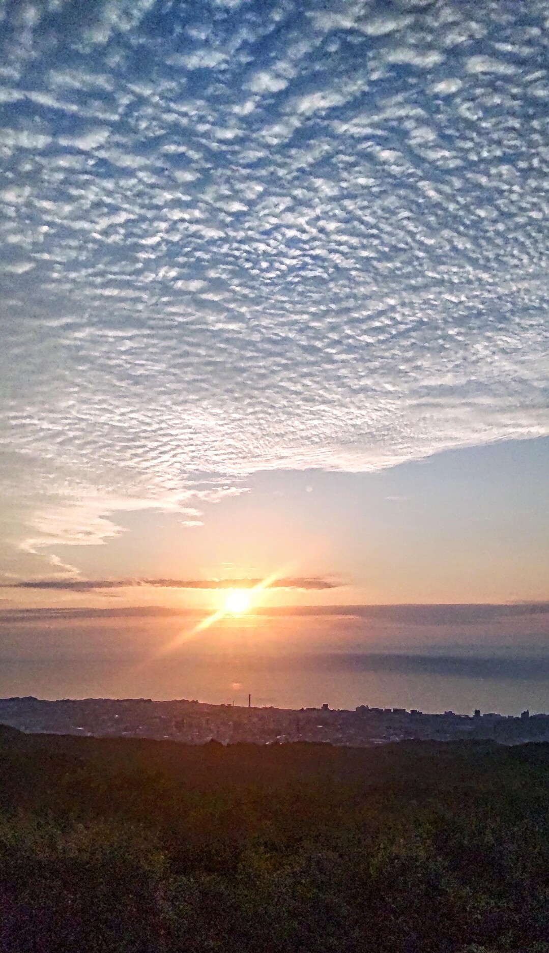 助川山 / akiさんの日立アルプストレイル・神峰山（神峯山）の活動データ | YAMAP / ヤマップ
