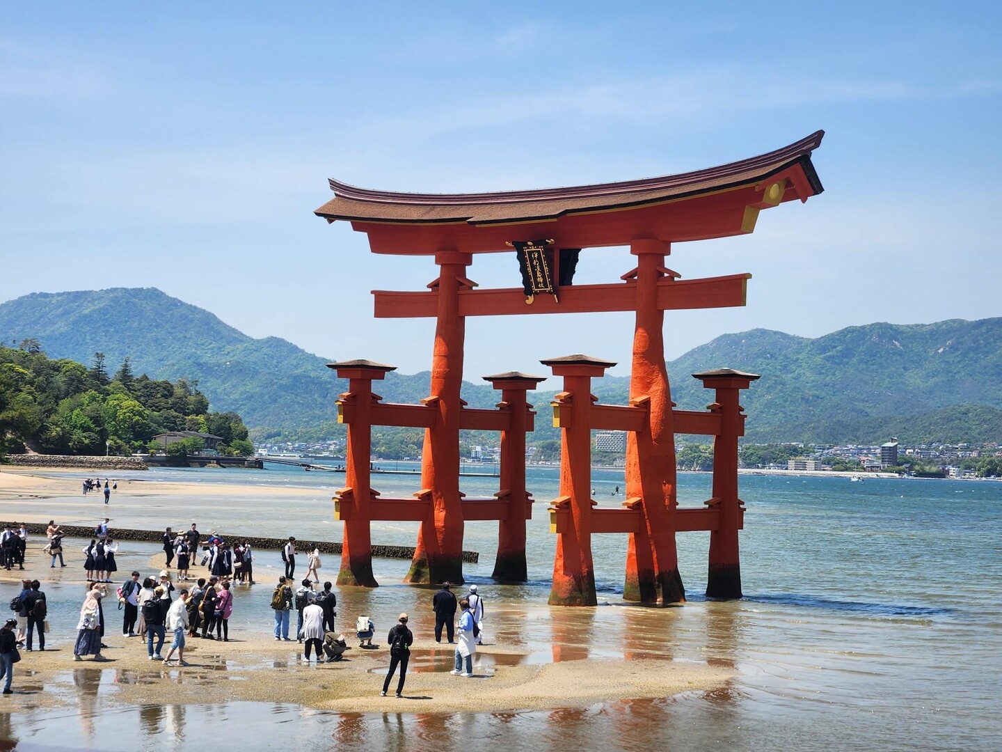 宮島・弥山【GW突入！新緑の美しい宮島！】大元コース / むっくさんの宮島（厳島）・弥山の活動データ | YAMAP / ヤマップ