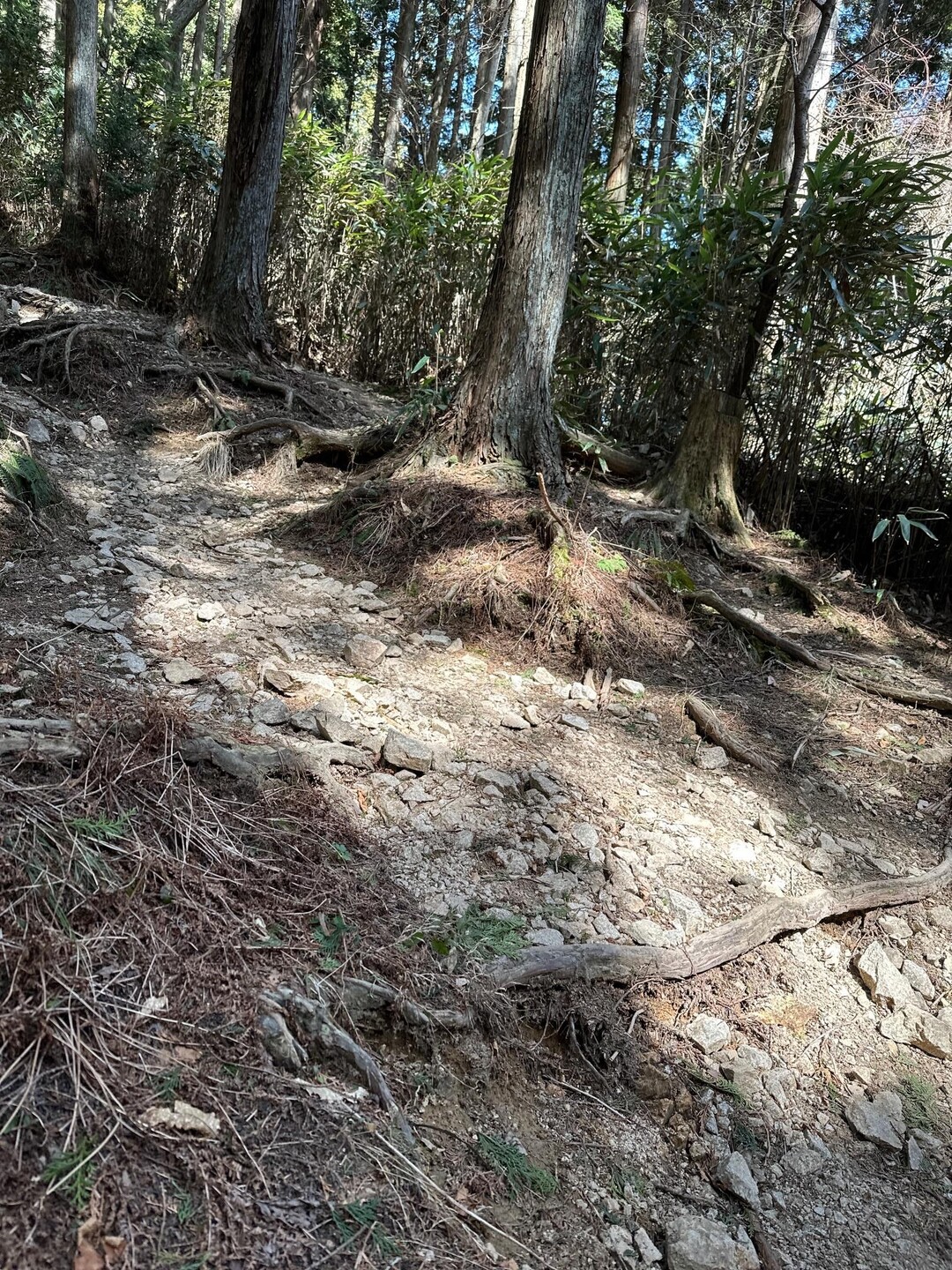 Jangers ジャンガースさんの投稿したフィールドメモ | YAMAP / ヤマップ