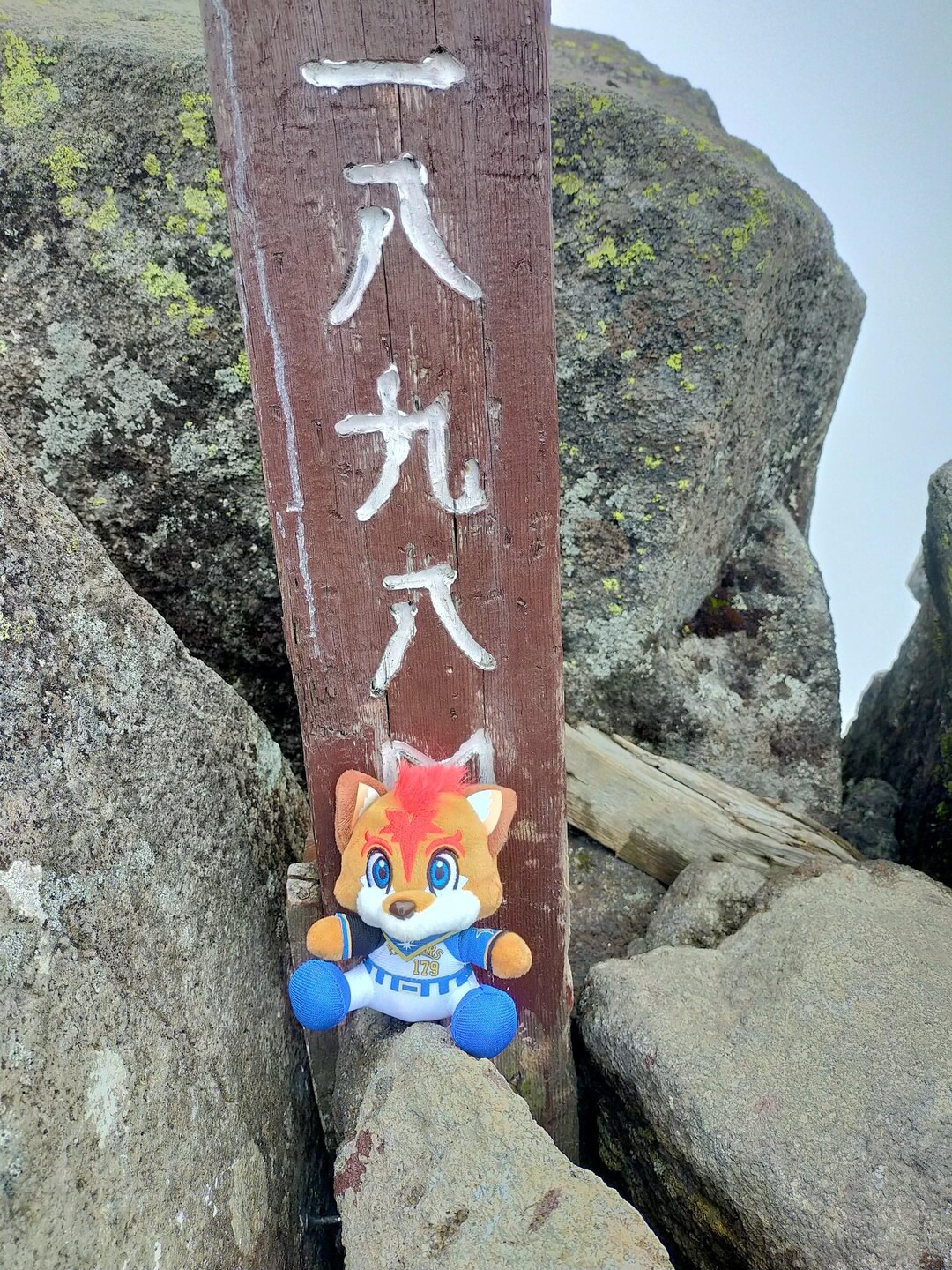 羊蹄山（比羅夫ルート） / REM84さんの羊蹄山（蝦夷富士）の活動データ | YAMAP / ヤマップ