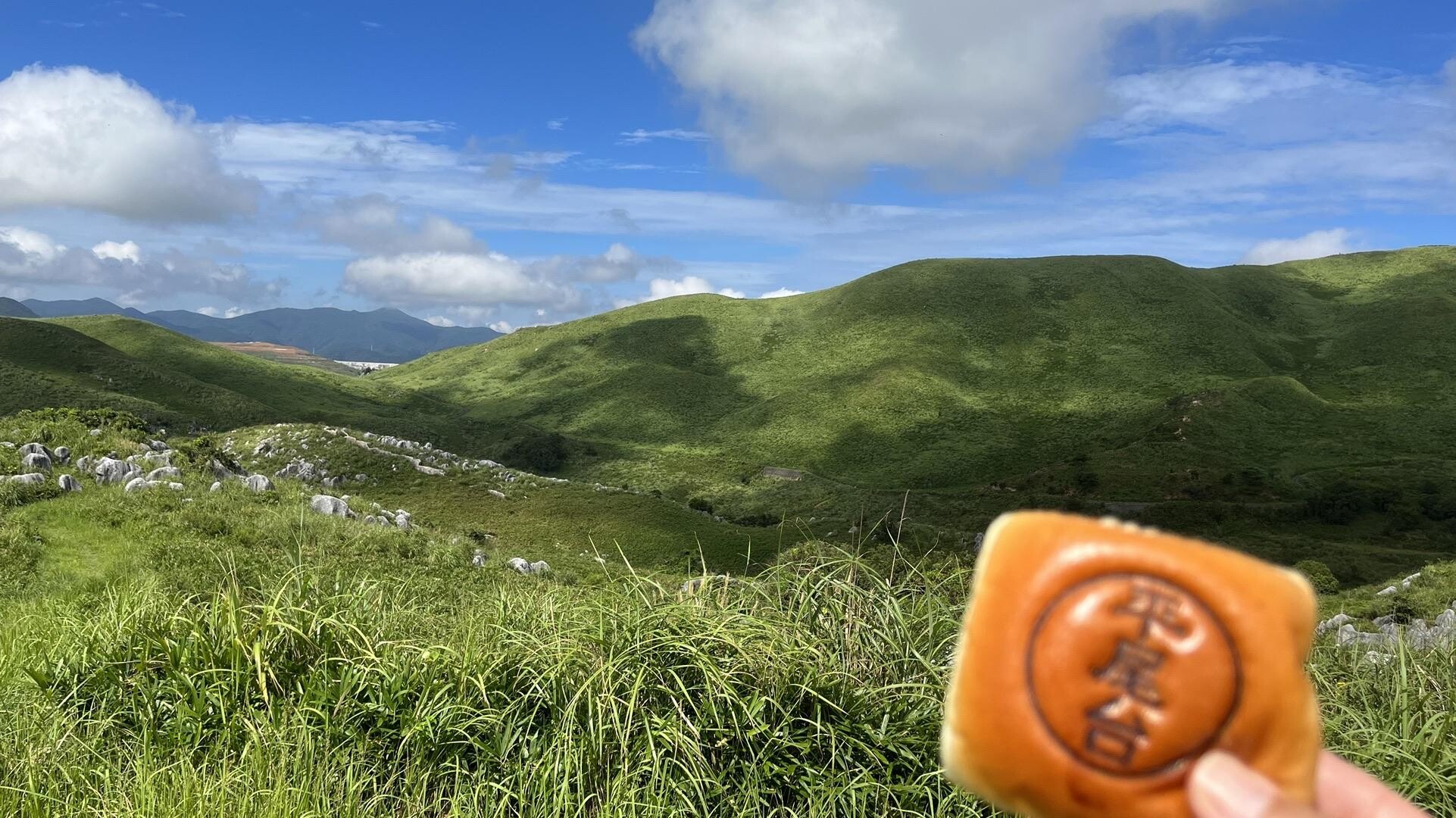 茶ヶ床から広谷台⛰️ / t@tsuさんの平尾台・貫山・水晶山の活動データ | YAMAP / ヤマップ
