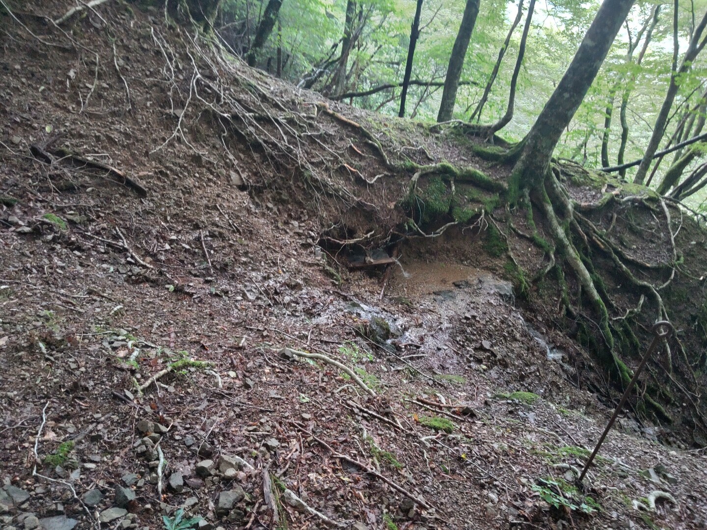 スナフキンNさんの投稿したフィールドメモ | YAMAP / ヤマップ