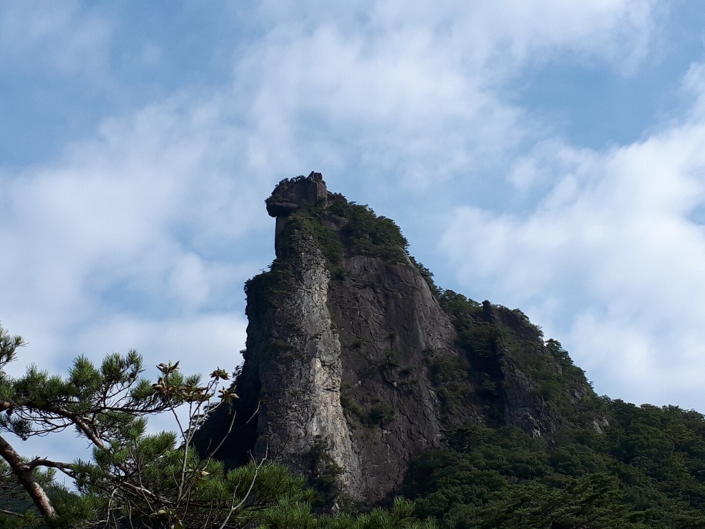久々の子持山 / BENI紅さんの子持山の活動データ | YAMAP / ヤマップ