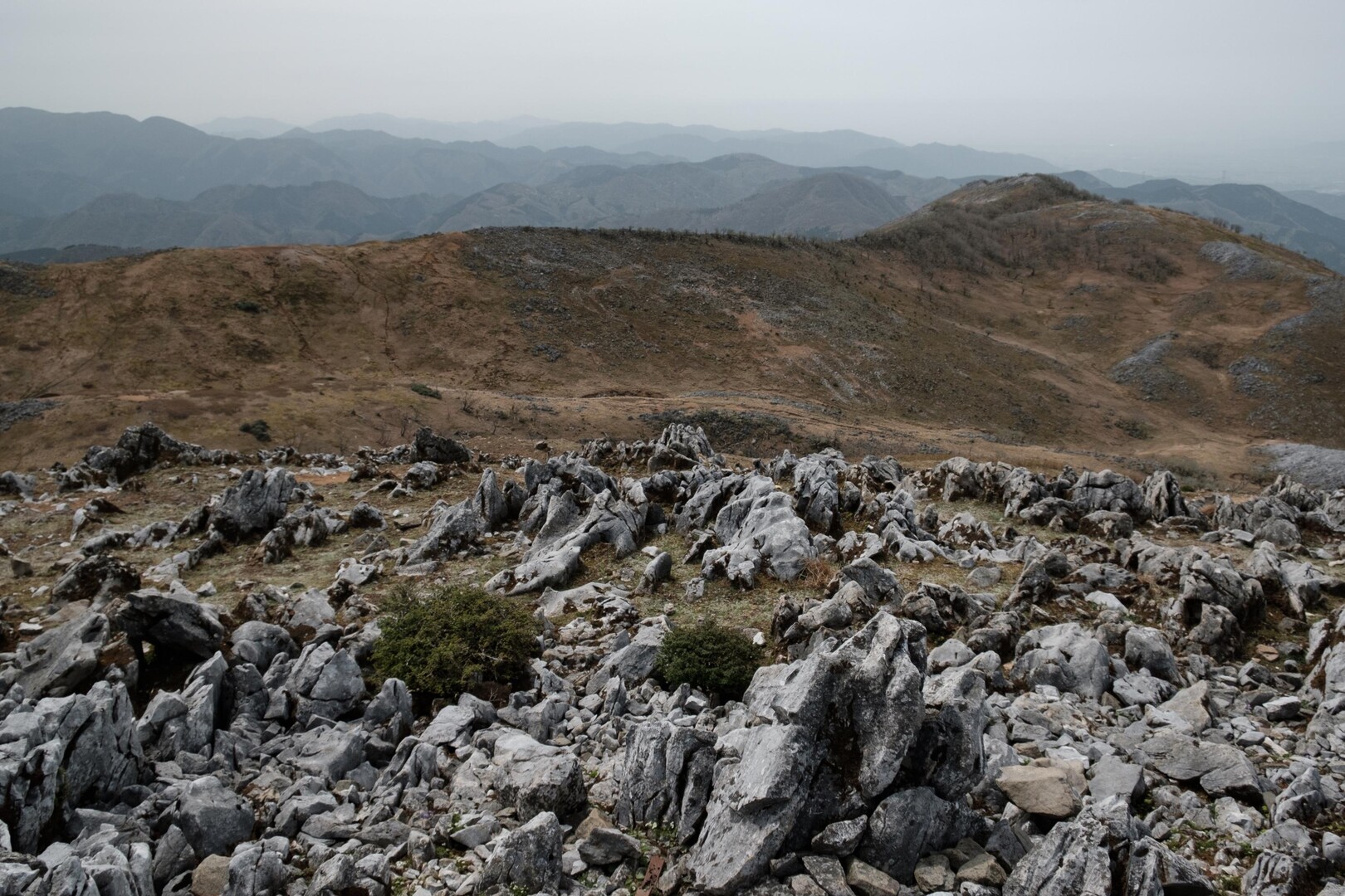 霊仙山周遊 / hkhg_yさんの霊仙山の活動データ | YAMAP / ヤマップ