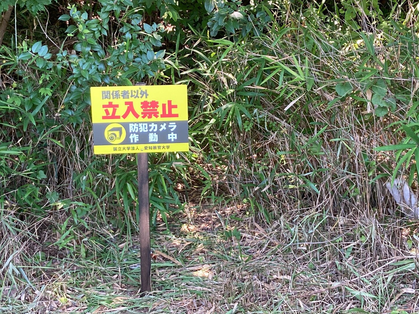 NORYさんの投稿したフィールドメモ | YAMAP / ヤマップ