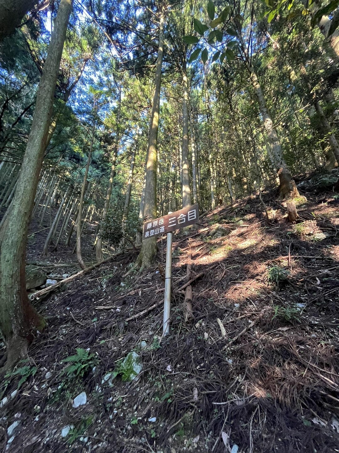 天狗岩・藤原岳 / osaさんの藤原岳・御池岳の活動データ | YAMAP / ヤマップ