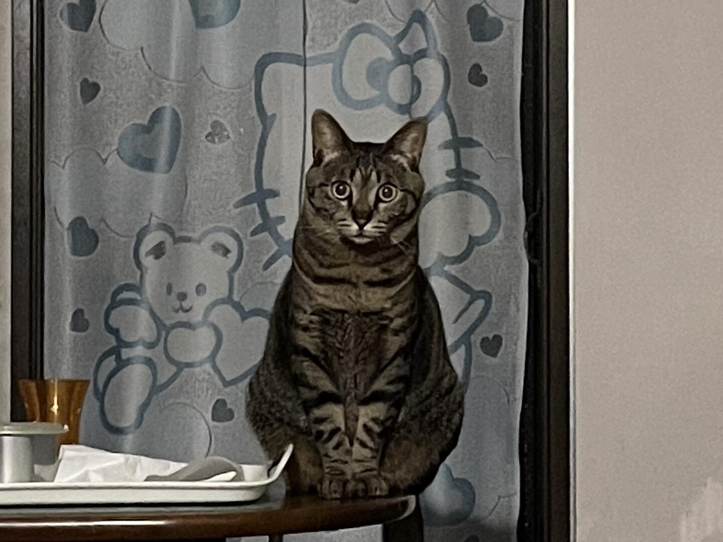 ota660のページ | YAMAP / ヤマップ