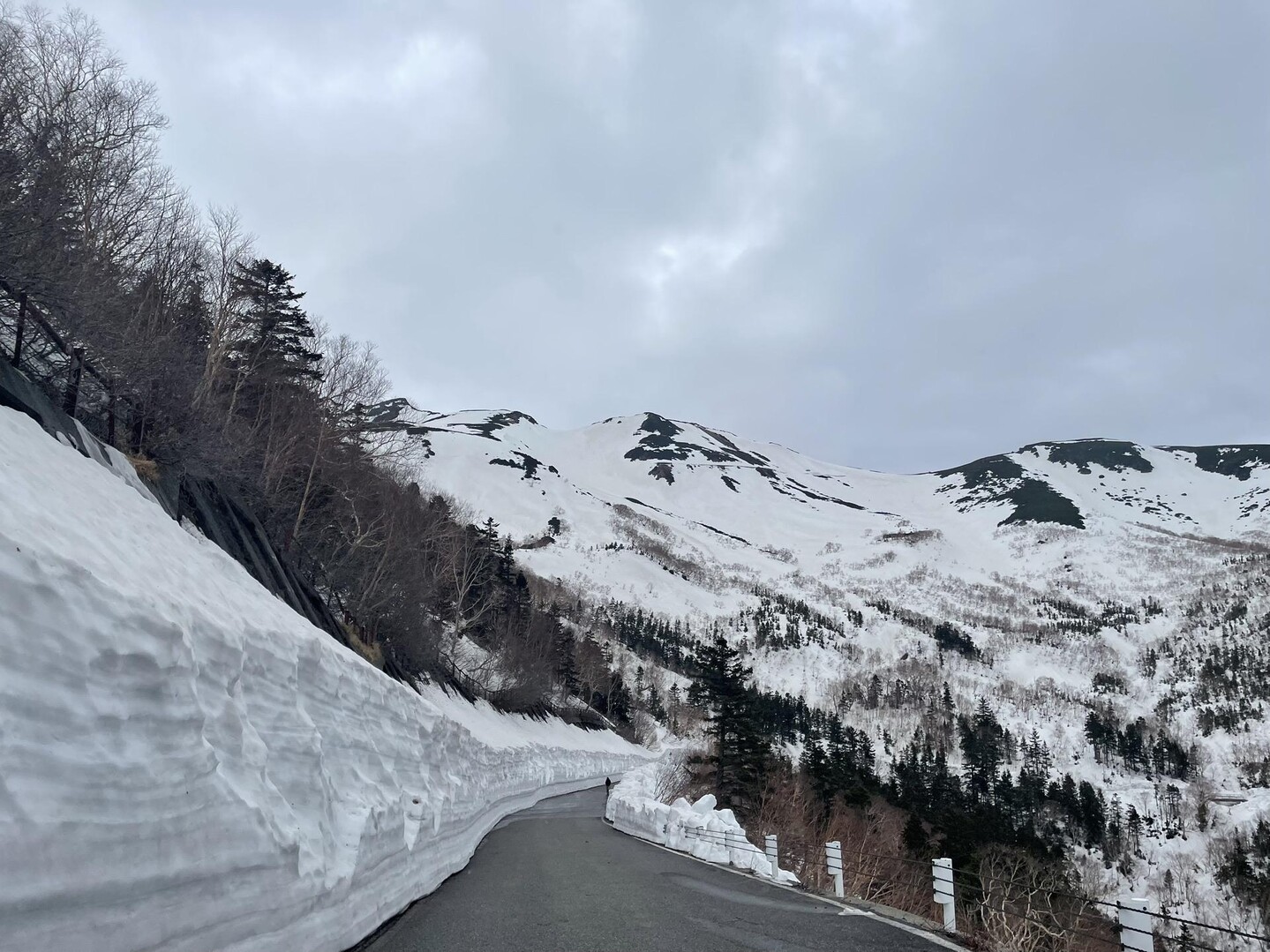 乗鞍岳-2024-04-27 / chiさんの乗鞍岳の活動データ | YAMAP / ヤマップ
