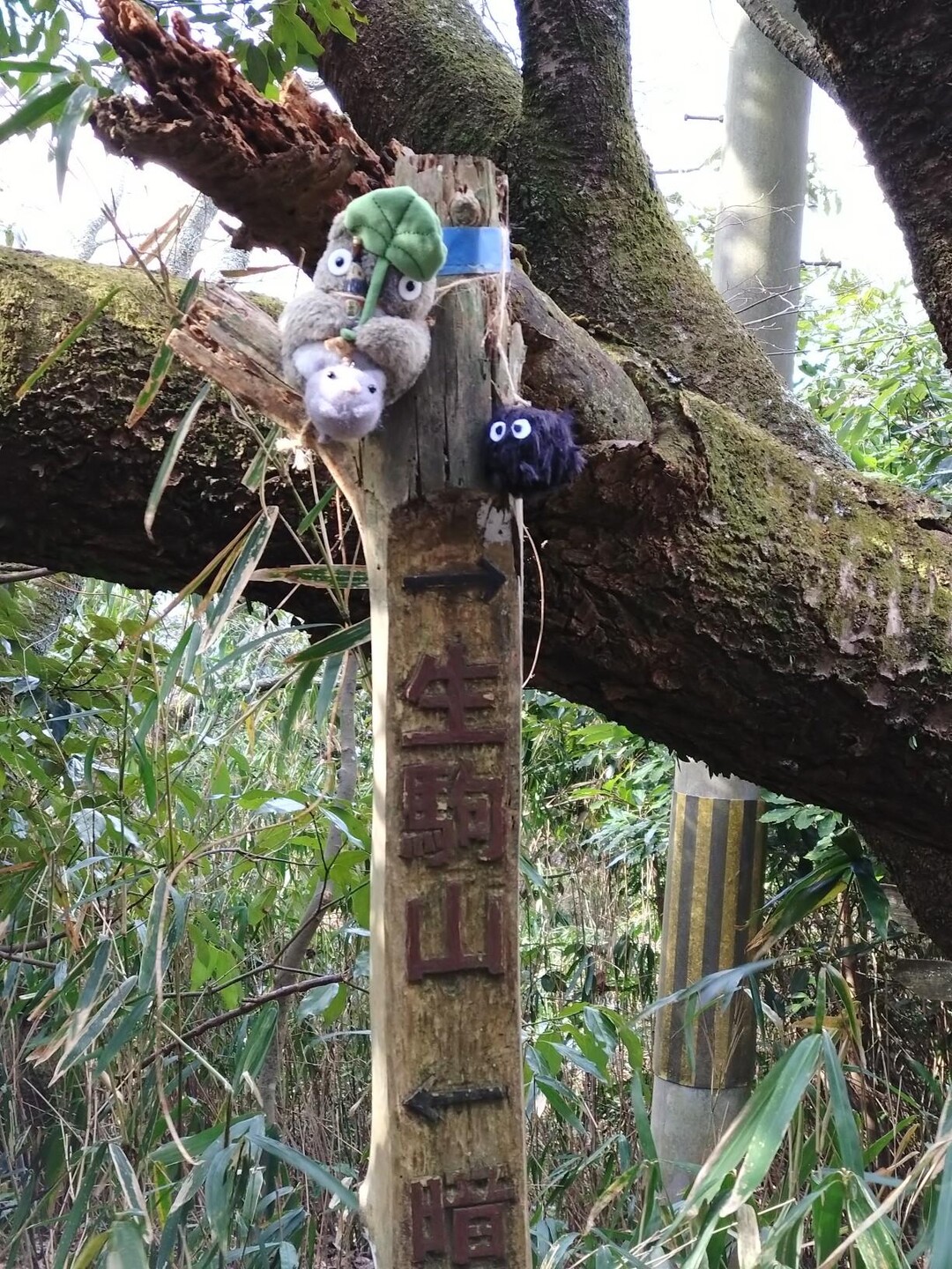 生駒山・鬼取山・天照山・小倉山 / Kirikoさんの生駒山・神津嶽・大原山の活動データ | YAMAP / ヤマップ