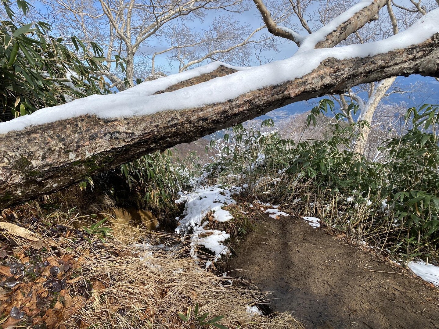 Gentil15さんの投稿したフィールドメモ | YAMAP / ヤマップ