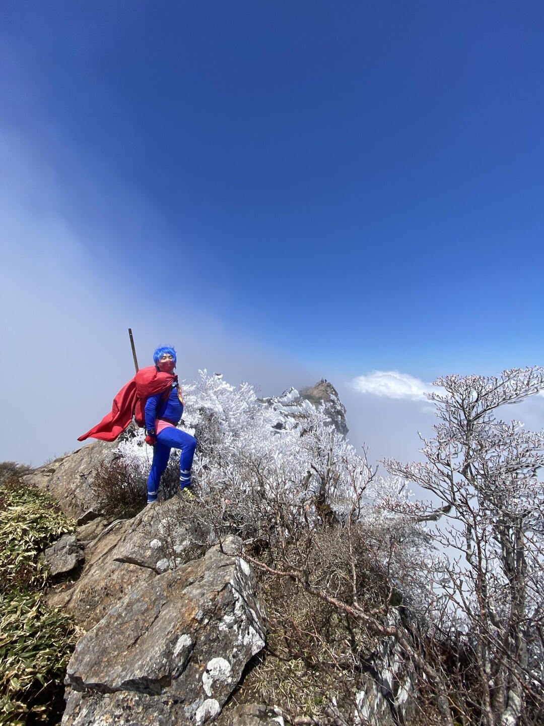 🎏皐月 ﾆ 夢HANABI🎆〜 石鎚山 【ﾌﾟﾁ縦走】 / 梅と平和を噛みしめてさんの瓶ヶ森・伊予富士の活動データ | YAMAP / ヤマップ