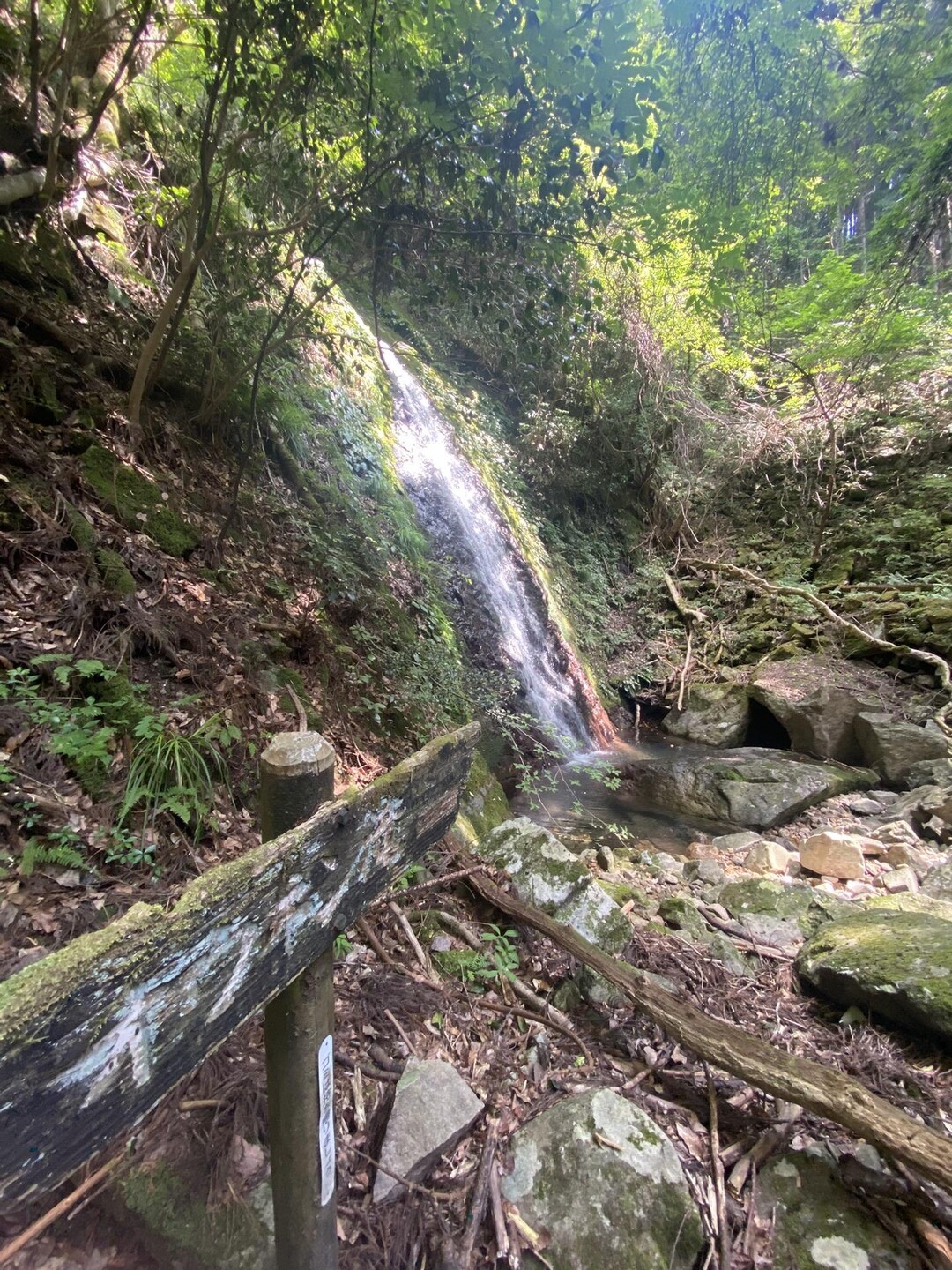 笠形山（播磨富士）-2023-07-27 / BAR AFPさんの笠形山（播磨富士）の活動データ | YAMAP / ヤマップ