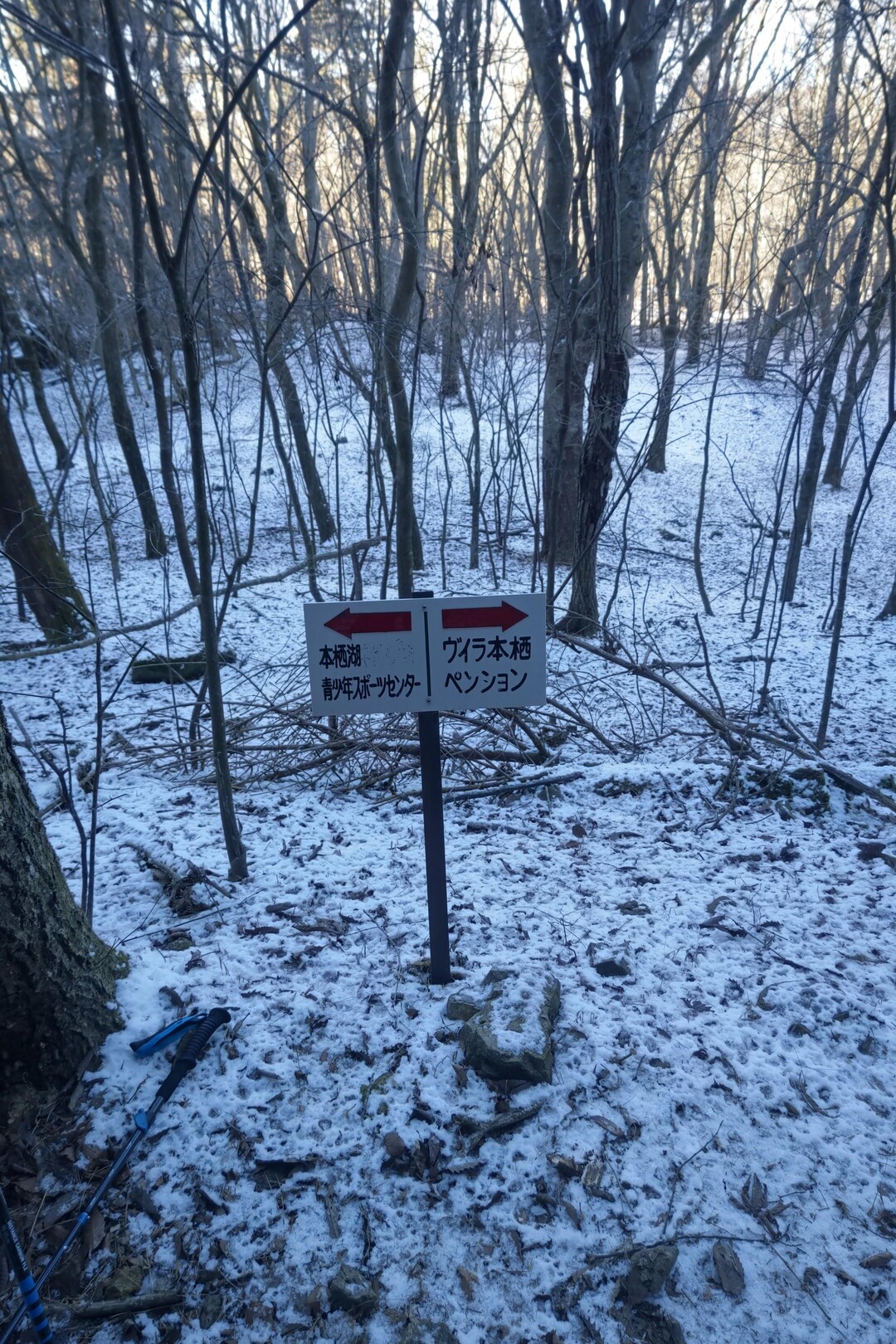 Hectorさんの投稿したフィールドメモ | YAMAP / ヤマップ