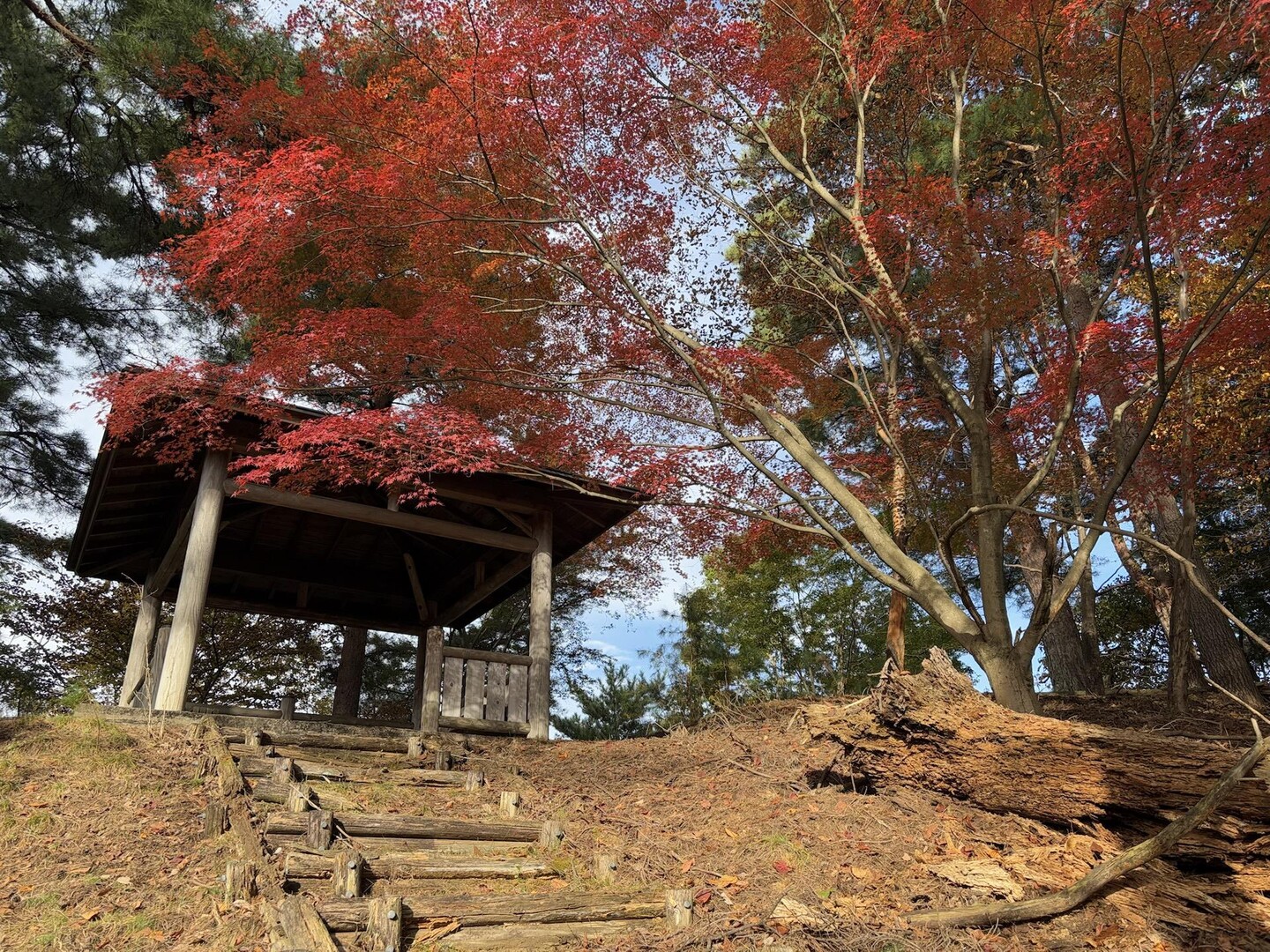 B.Bearさんの投稿したフィールドメモ | YAMAP / ヤマップ