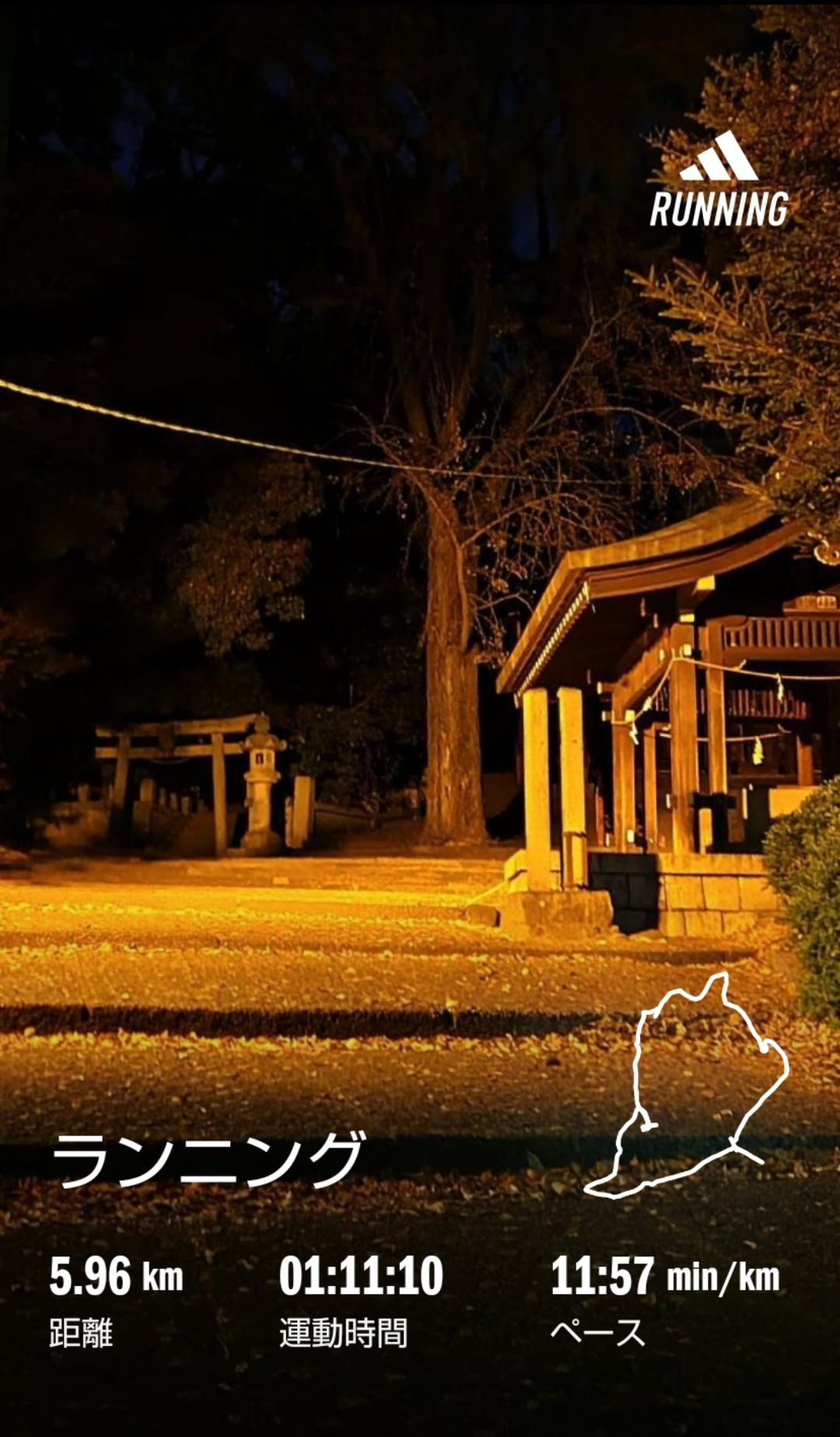 2024.11.25 MON ☀ 昨日は... / ダンさんのモーメント | YAMAP / ヤマップ