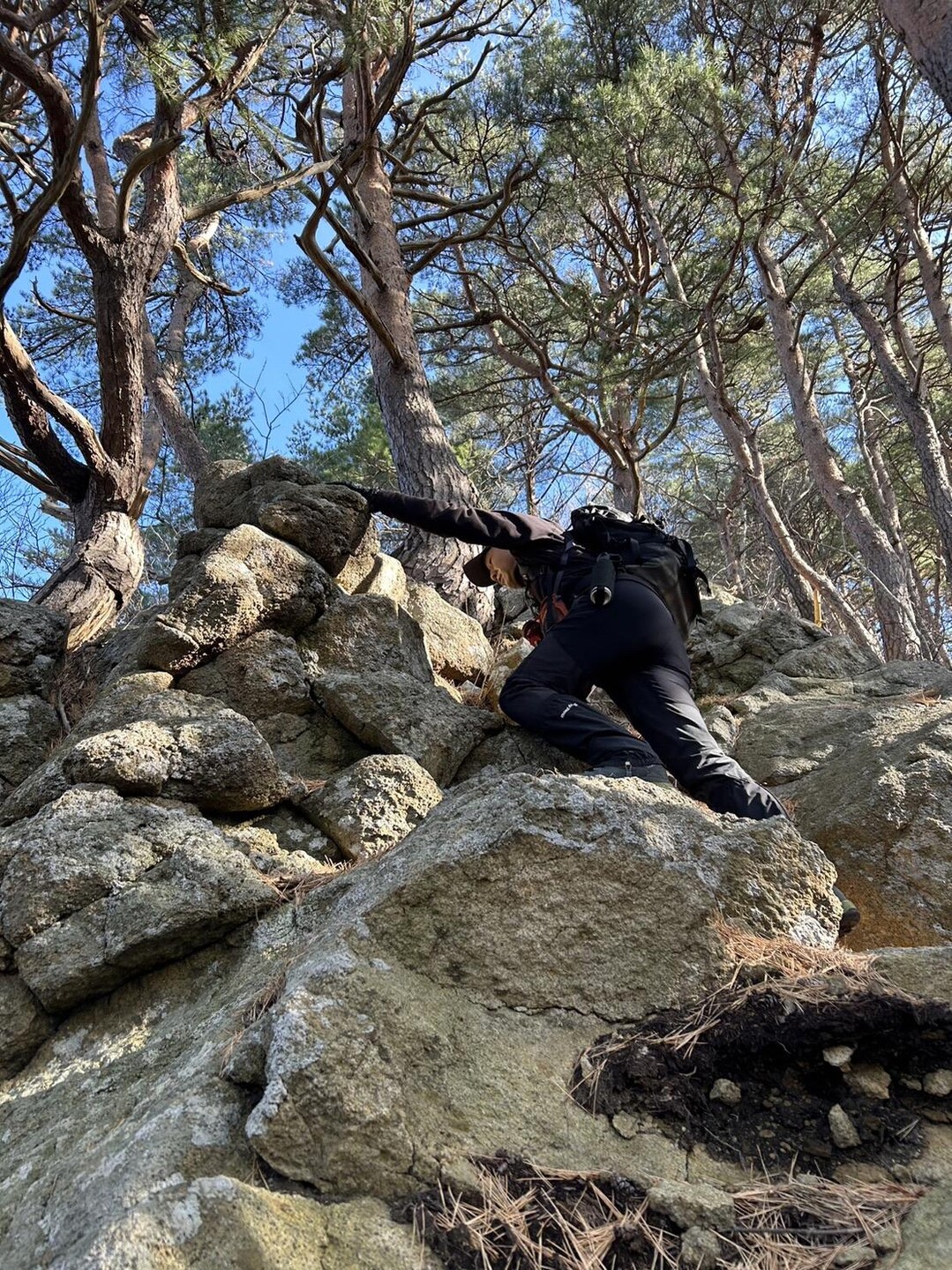 高森山、冒険野郎参上 ️ / ZAKUさんの高森山・屋敷山の活動データ | YAMAP / ヤマップ