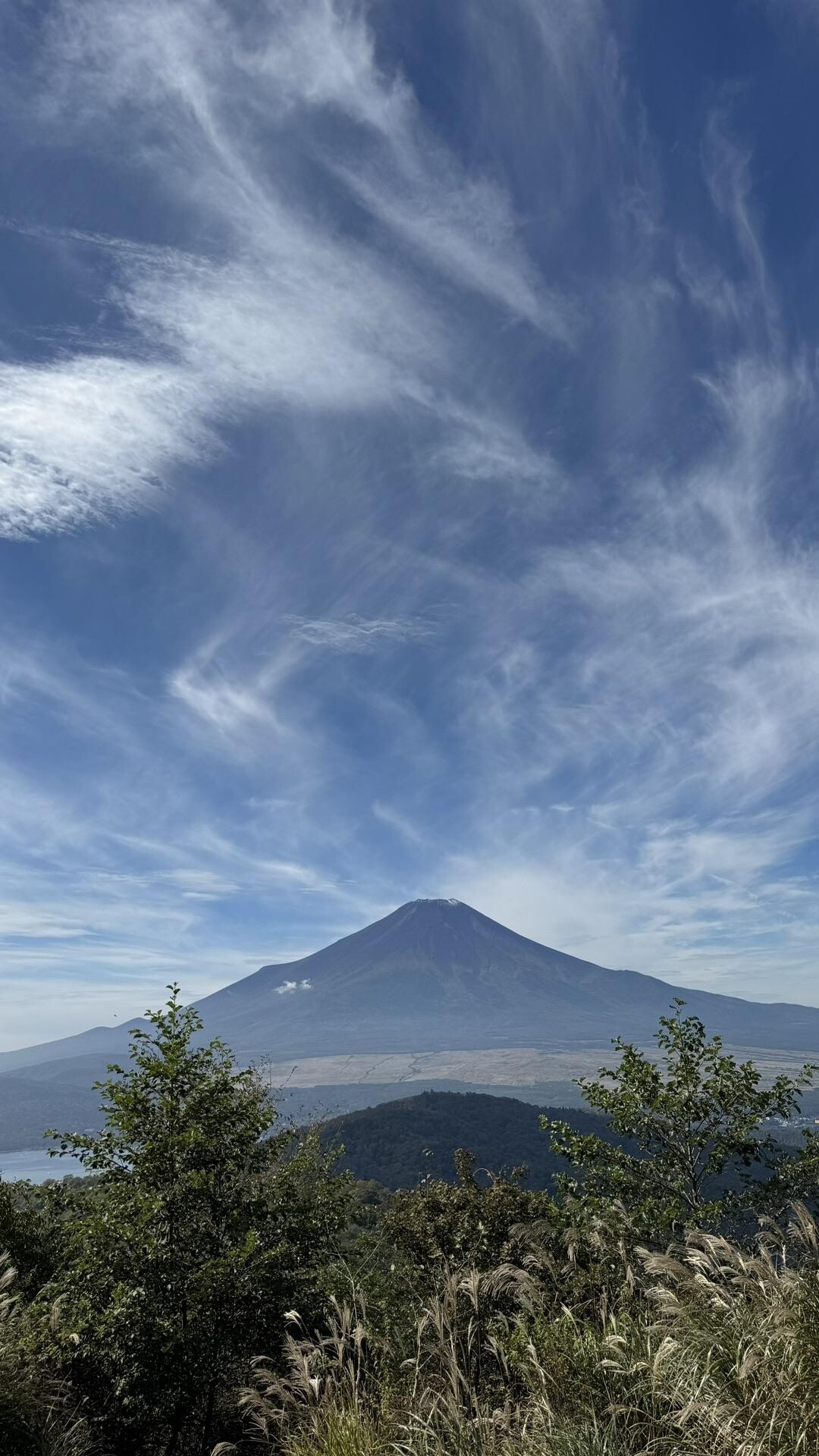 石割山から大平山まで富士山を見ながら縦走 / Masako_Mさんの御正体山・杓子山・石割山の活動データ | YAMAP / ヤマップ