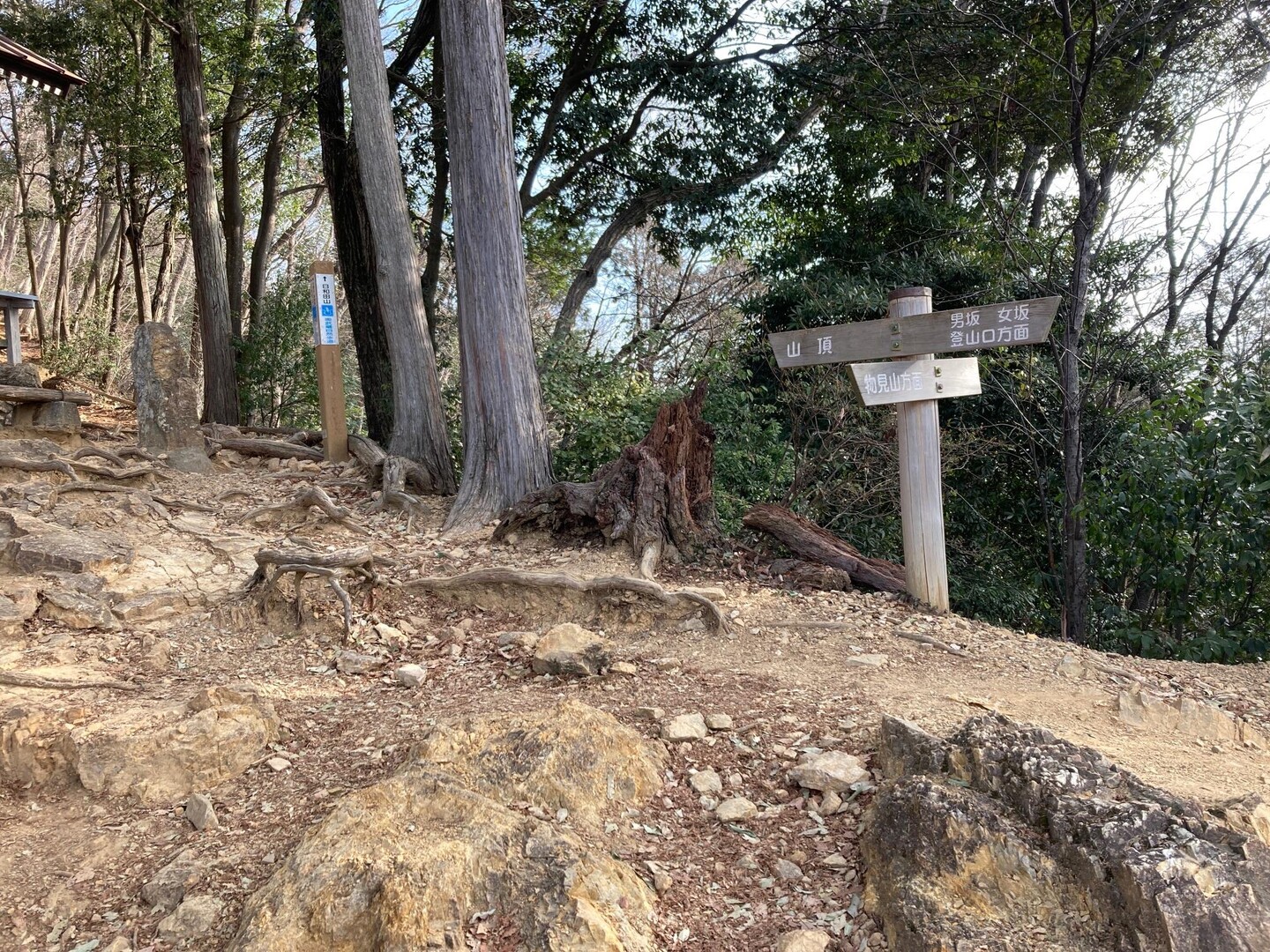 taoさんの投稿したフィールドメモ | YAMAP / ヤマップ