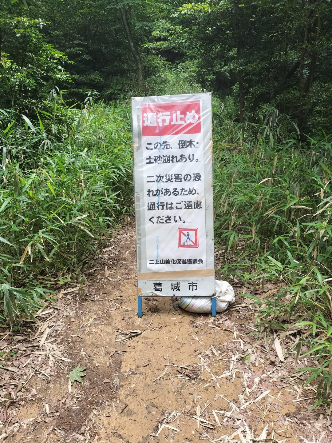 しんちゃんさんの投稿したフィールドメモ | YAMAP / ヤマップ