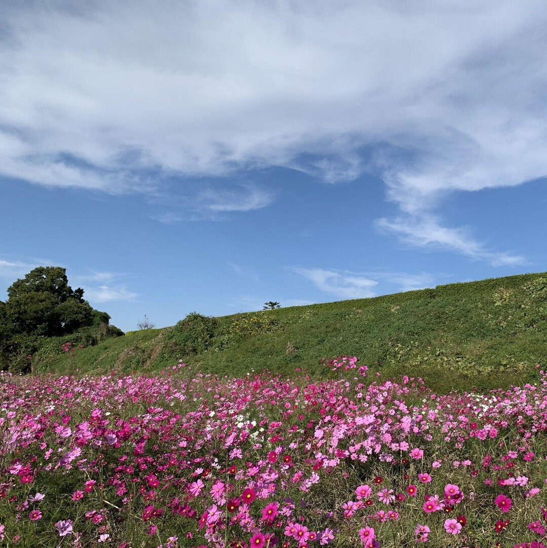 上尾榎本牧場に行ってきました。 小さな牧... / riecoさんのモーメント | YAMAP / ヤマップ