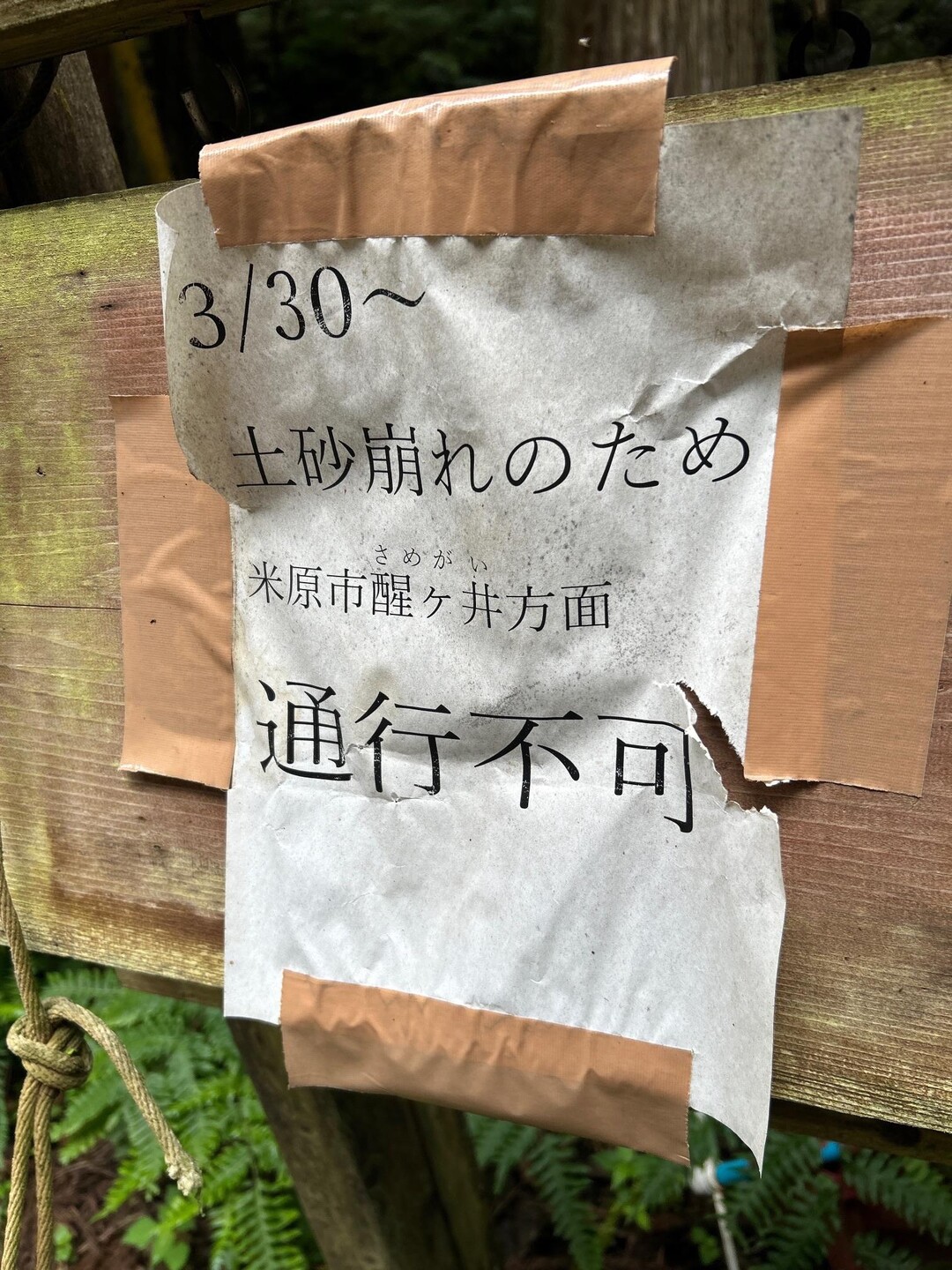 Nandoさんの投稿したフィールドメモ | YAMAP / ヤマップ