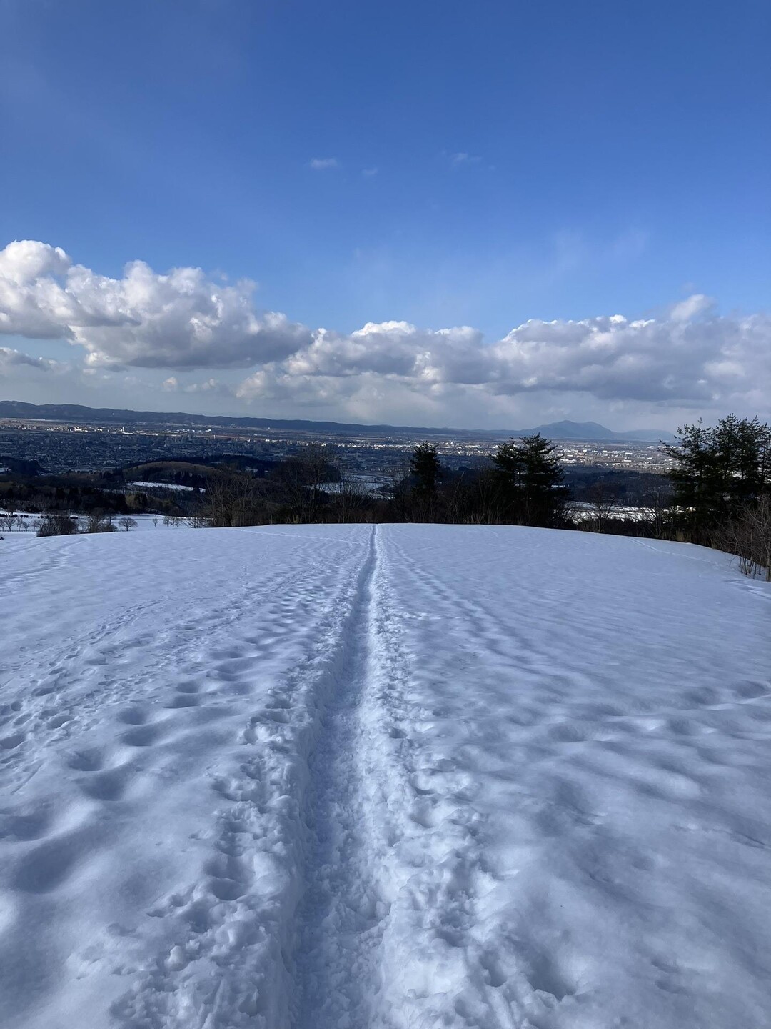 三ノ峠山 9th / PONさんの鋸山・三ノ峠山・八方台の活動データ | YAMAP / ヤマップ
