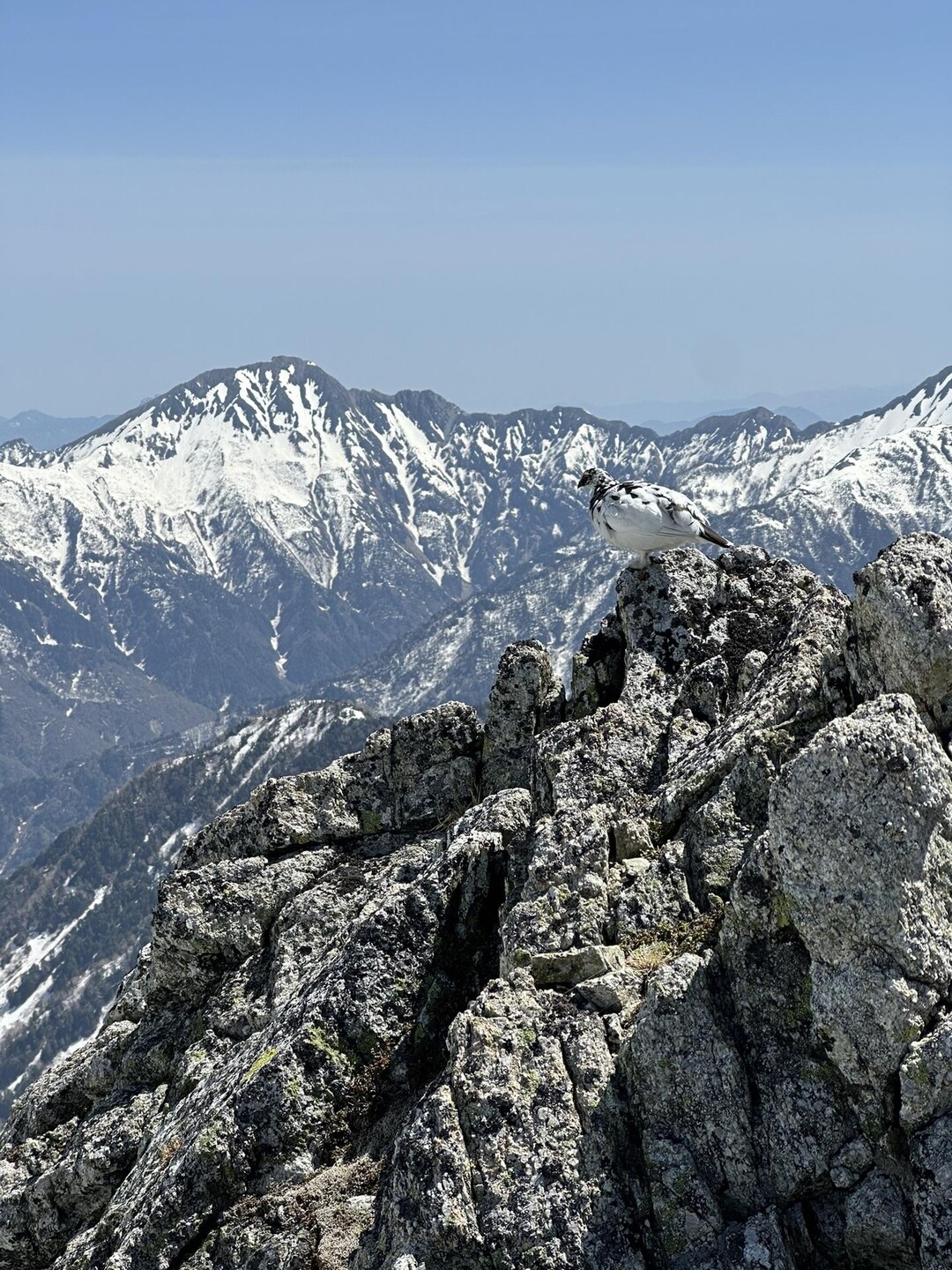 R6春合宿in立山 / りょーたろーさんの立山・雄山・浄土山の活動データ | YAMAP / ヤマップ