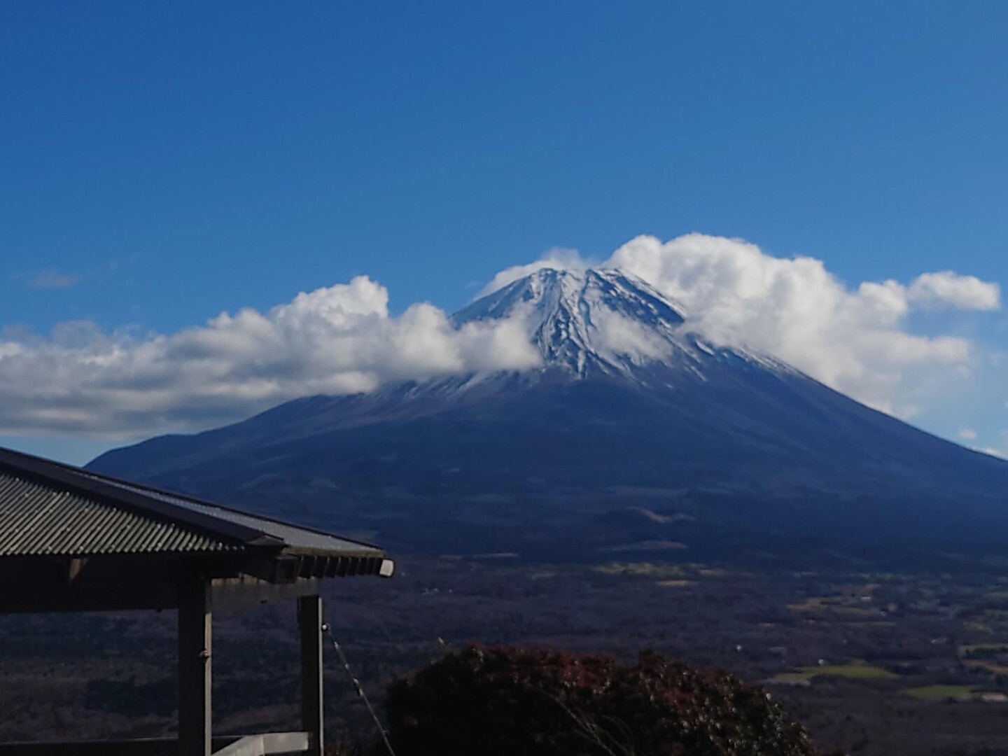 竜ヶ岳〜リハビリハイク!?Vol.4〜 / marzさんの毛無山・雨ヶ岳・竜ヶ岳の活動日記 | YAMAP / ヤマップ