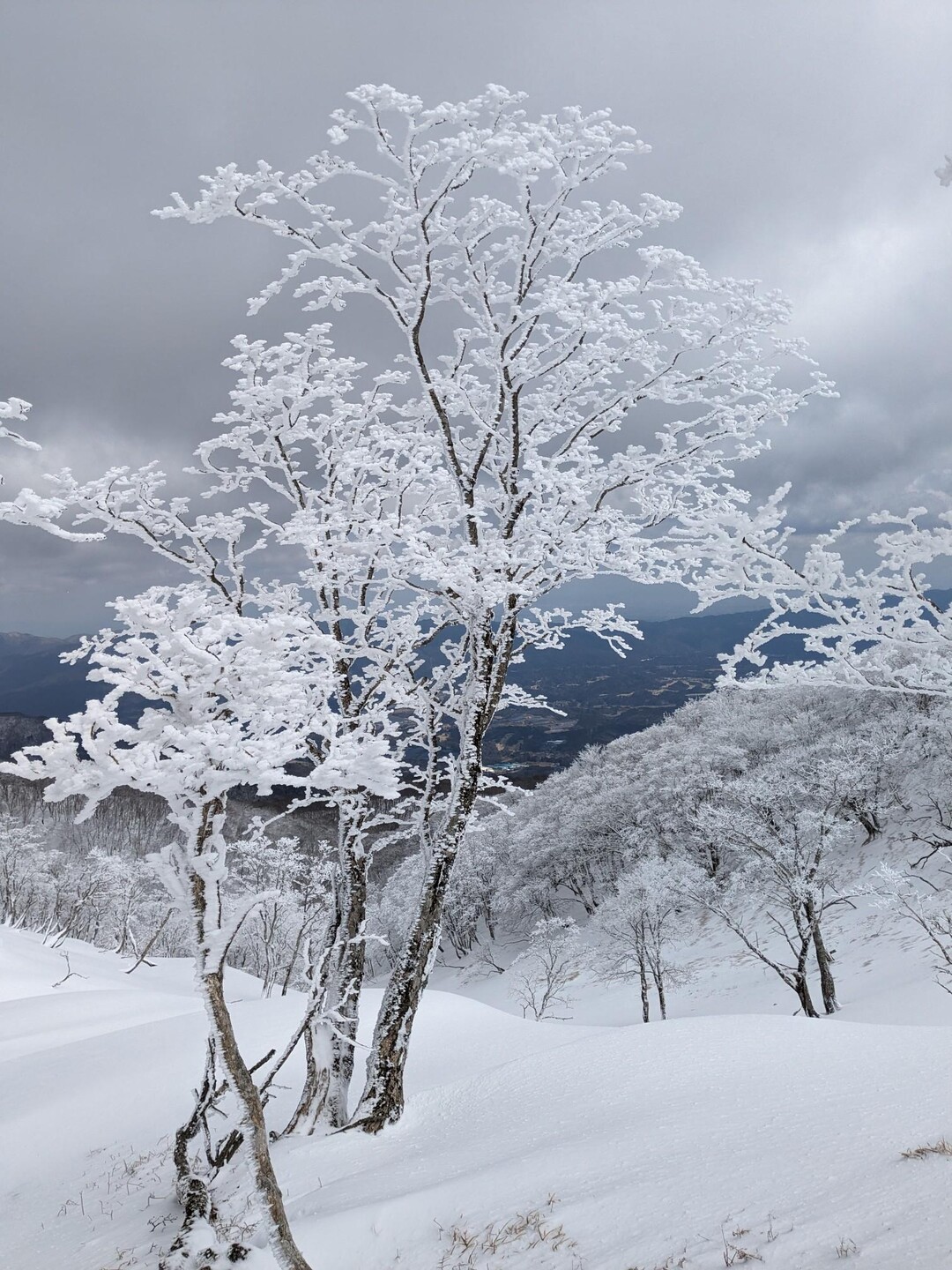 鈴北岳 / westさんの天狗堂の活動データ | YAMAP / ヤマップ