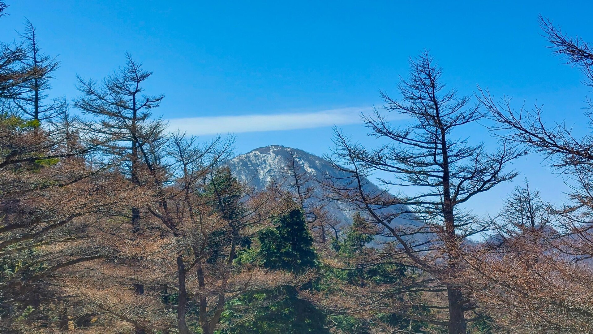 遥かなる 蛭への山路 春暑し / mitchさんの塔ノ岳・丹沢山・蛭ヶ岳の活動データ | YAMAP / ヤマップ