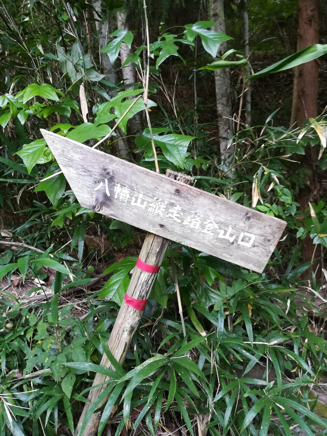 takaさんの投稿したフィールドメモ | YAMAP / ヤマップ