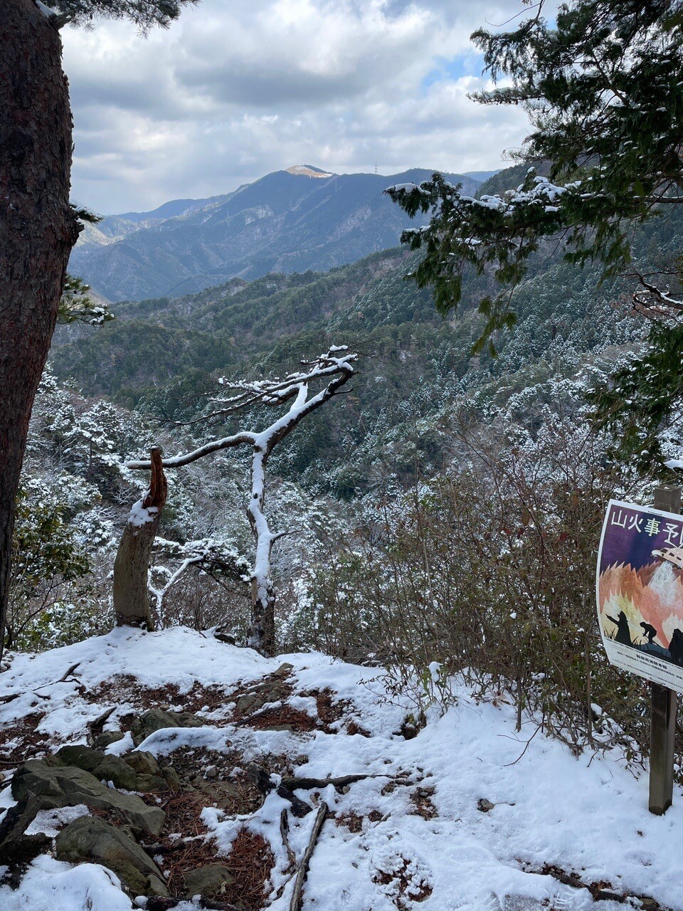 槙尾山 / mayumikoさんの槇尾山（槙尾山）・和泉葛城山・神於山の活動データ | YAMAP / ヤマップ