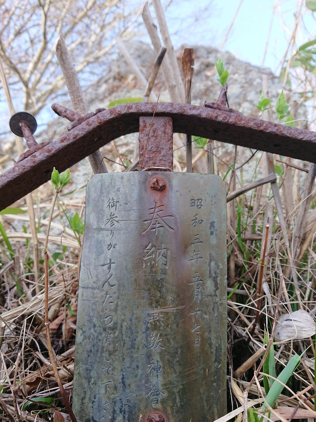 多宝山 / tak_kerさんの弥彦山・多宝山・雨乞山の活動データ | YAMAP / ヤマップ