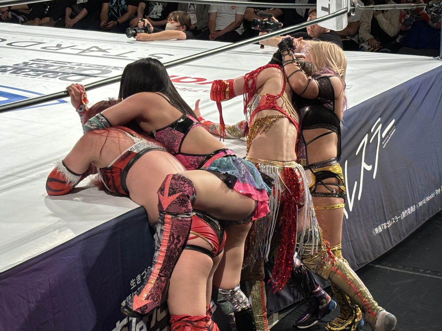 プロレス会場に通い始めて13年。 登山よ... / dragon_zさんのモーメント | YAMAP / ヤマップ