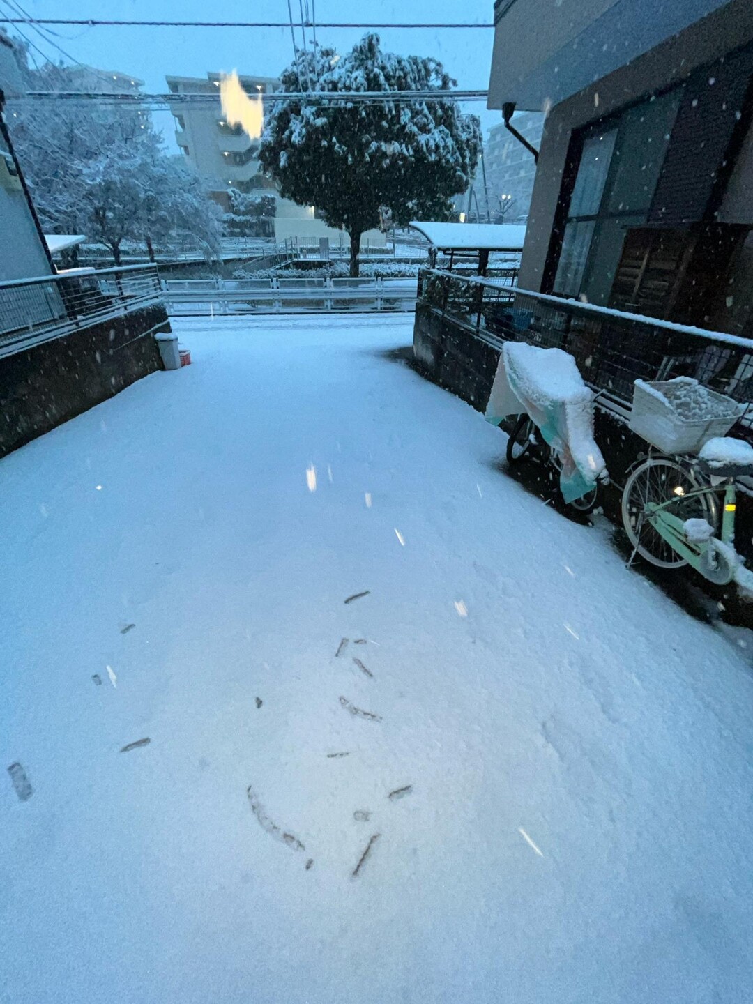 昨日から雪、 今朝は止んでます 昨夜2回... / TAKKUNさんのモーメント | YAMAP / ヤマップ