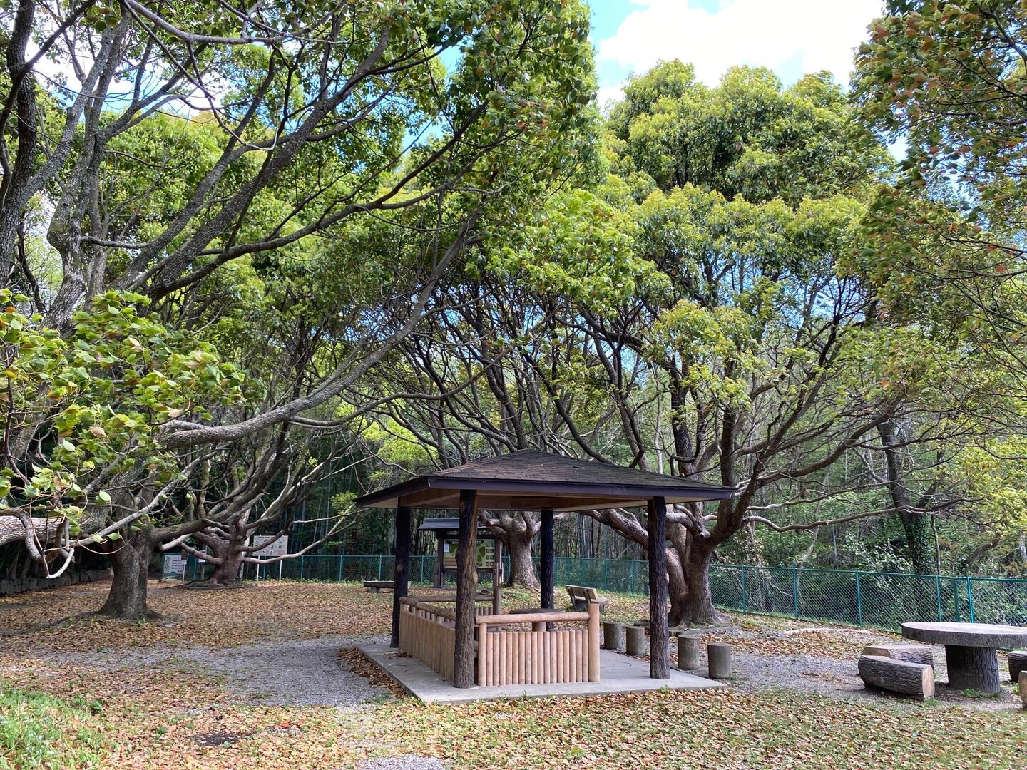 Red Comet 55さんの投稿したフィールドメモ | YAMAP / ヤマップ