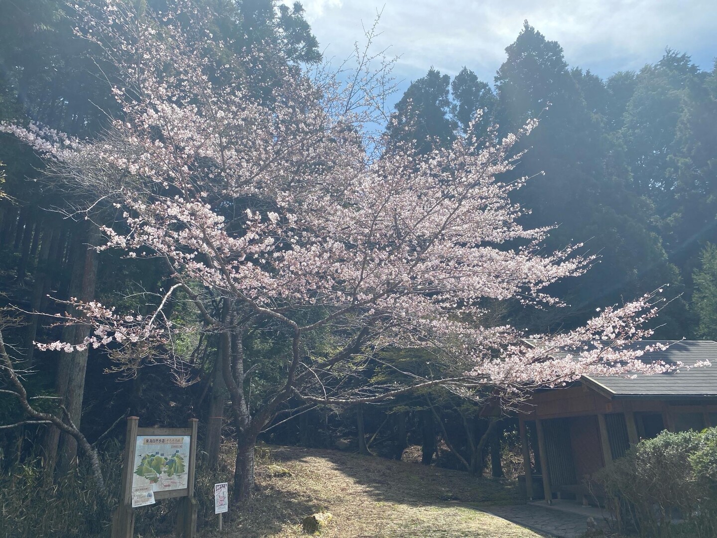 油日岳 / hassyさんの高畑山・那須ヶ原山・油日岳の活動データ | YAMAP / ヤマップ